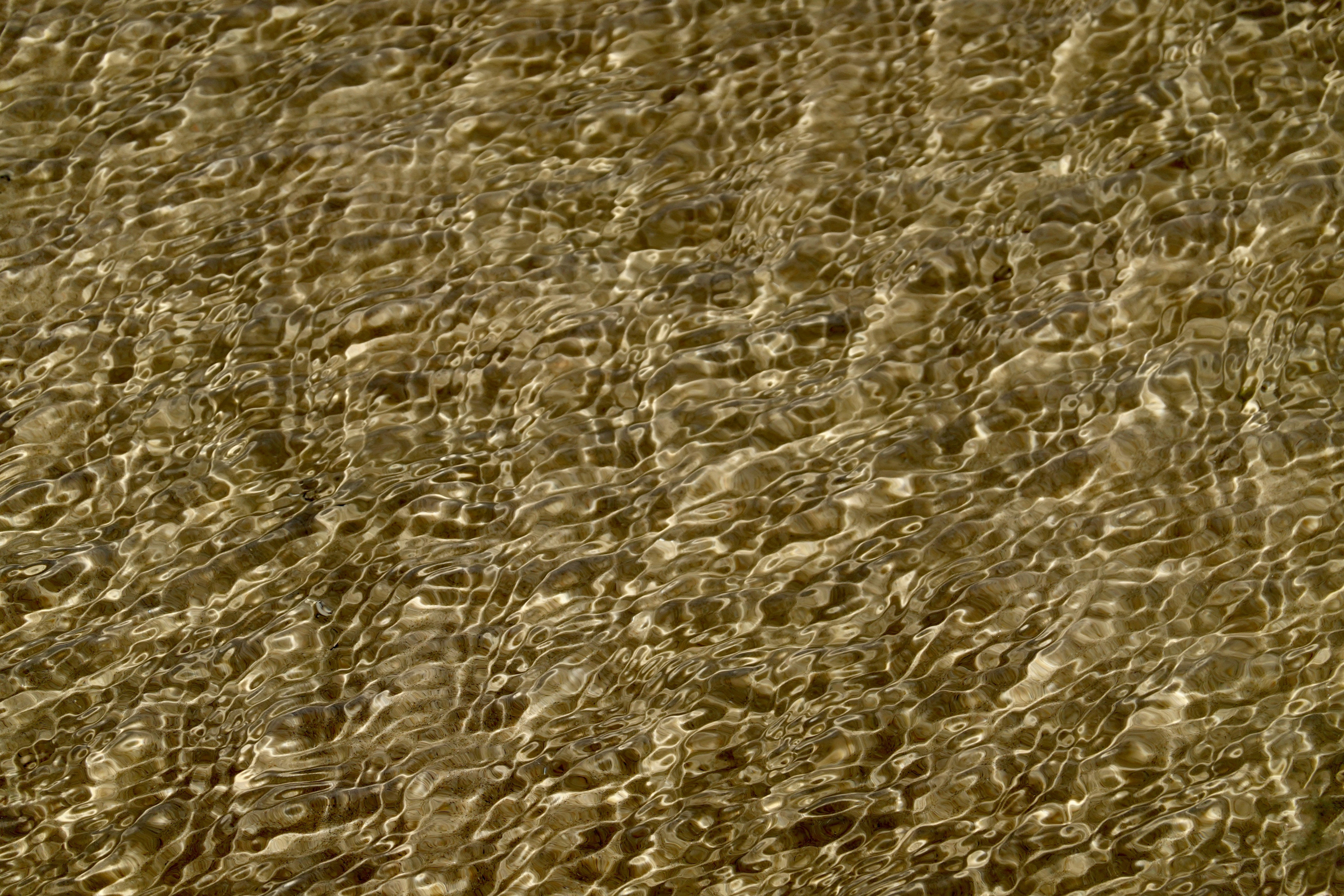 Contours of Sand: Sunlit Ripples in Golden Torescence