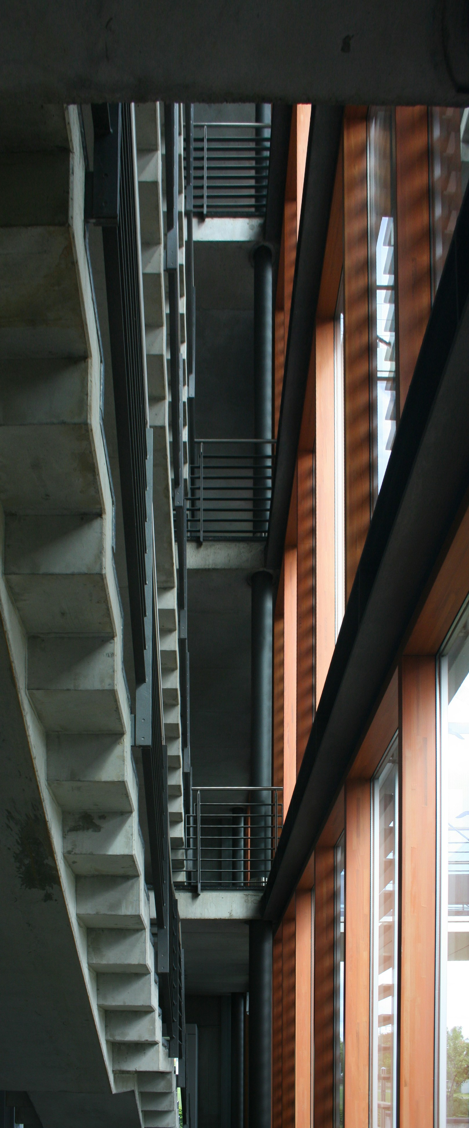 Vertical Atrium: Steel and Glass in Evening Light