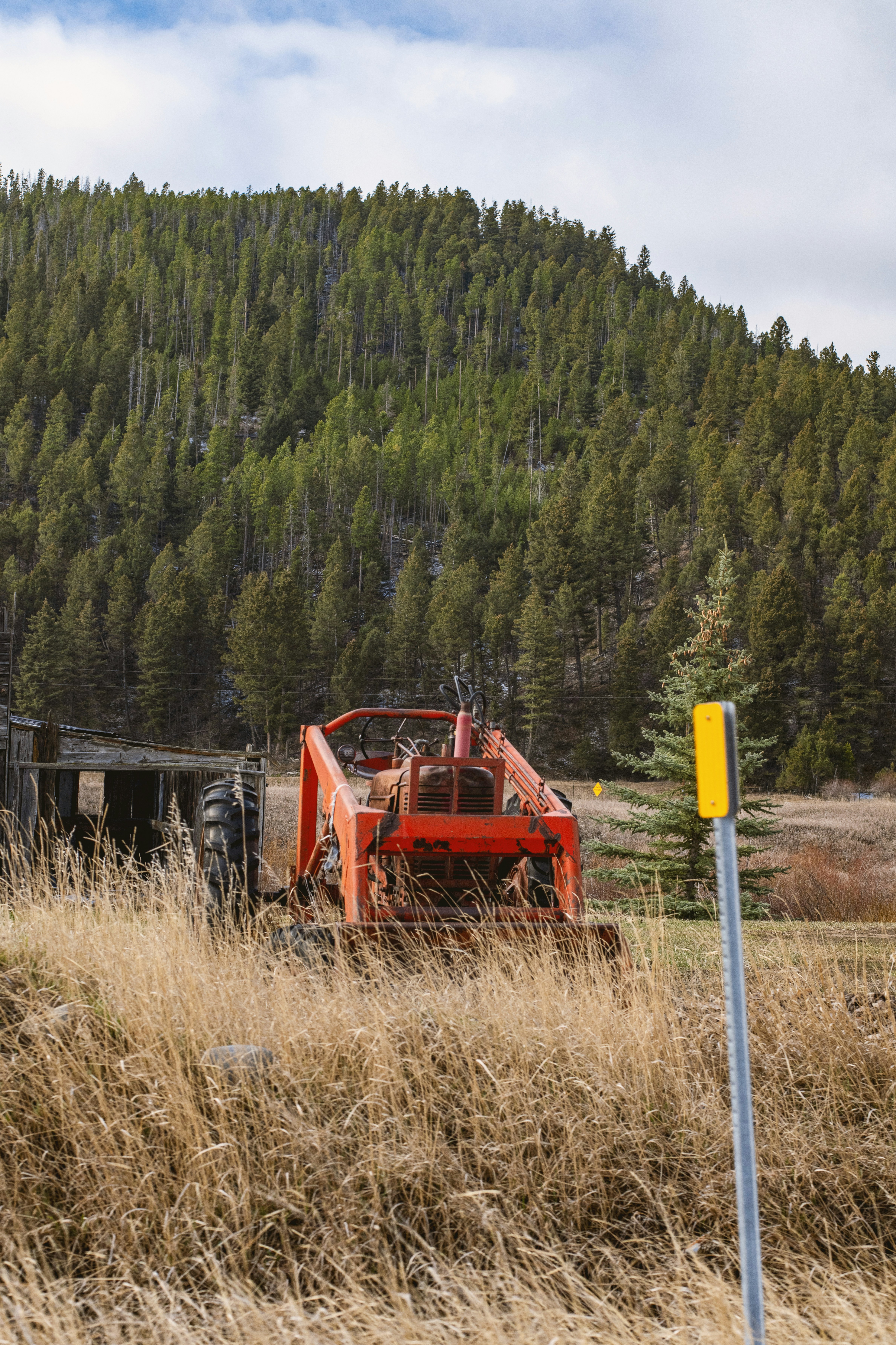 Red Tractor in a Field Below the Pine Ridge