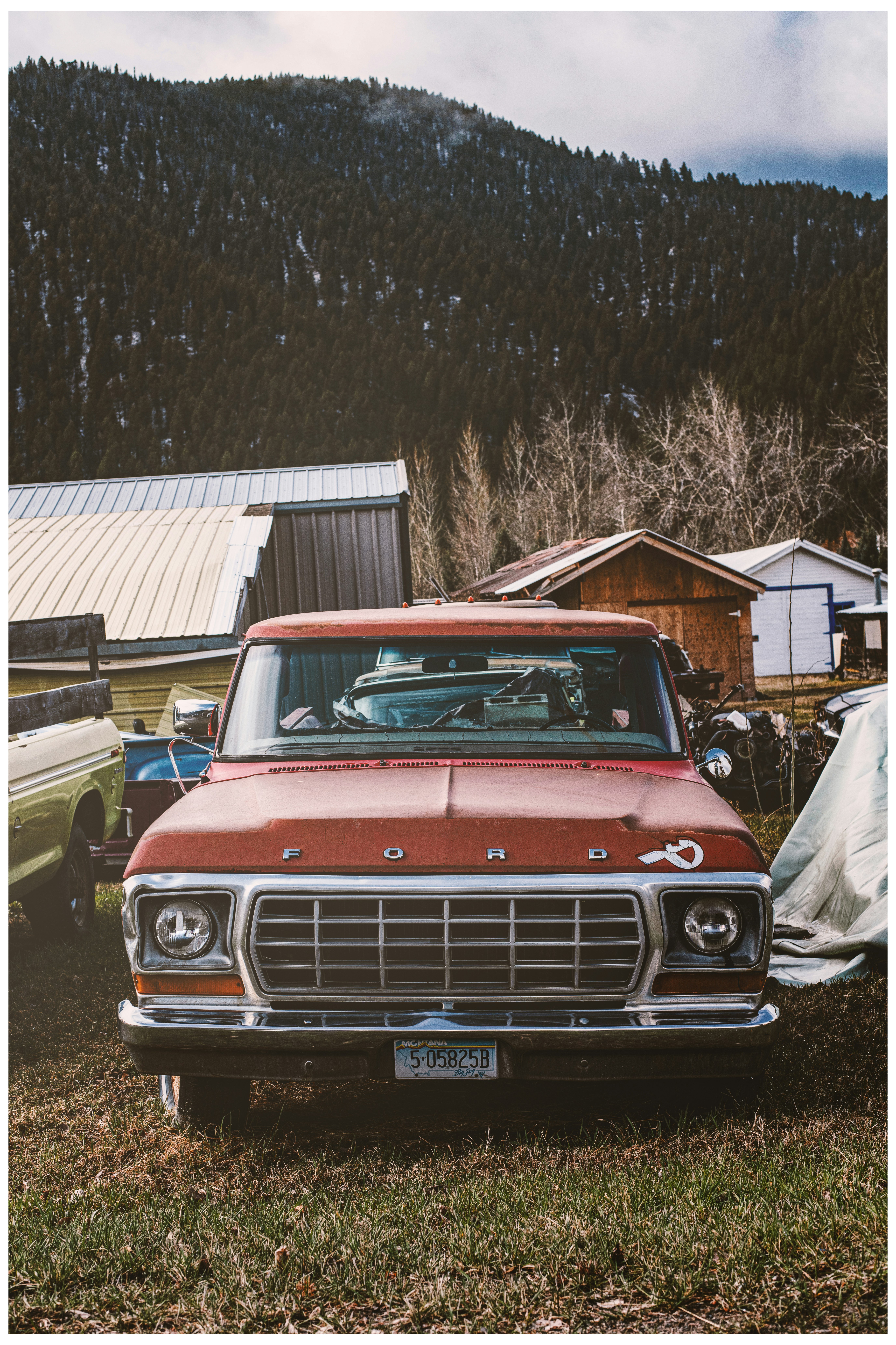 Red Ford Pickup in a Rustic Yard Under Mountain Pines