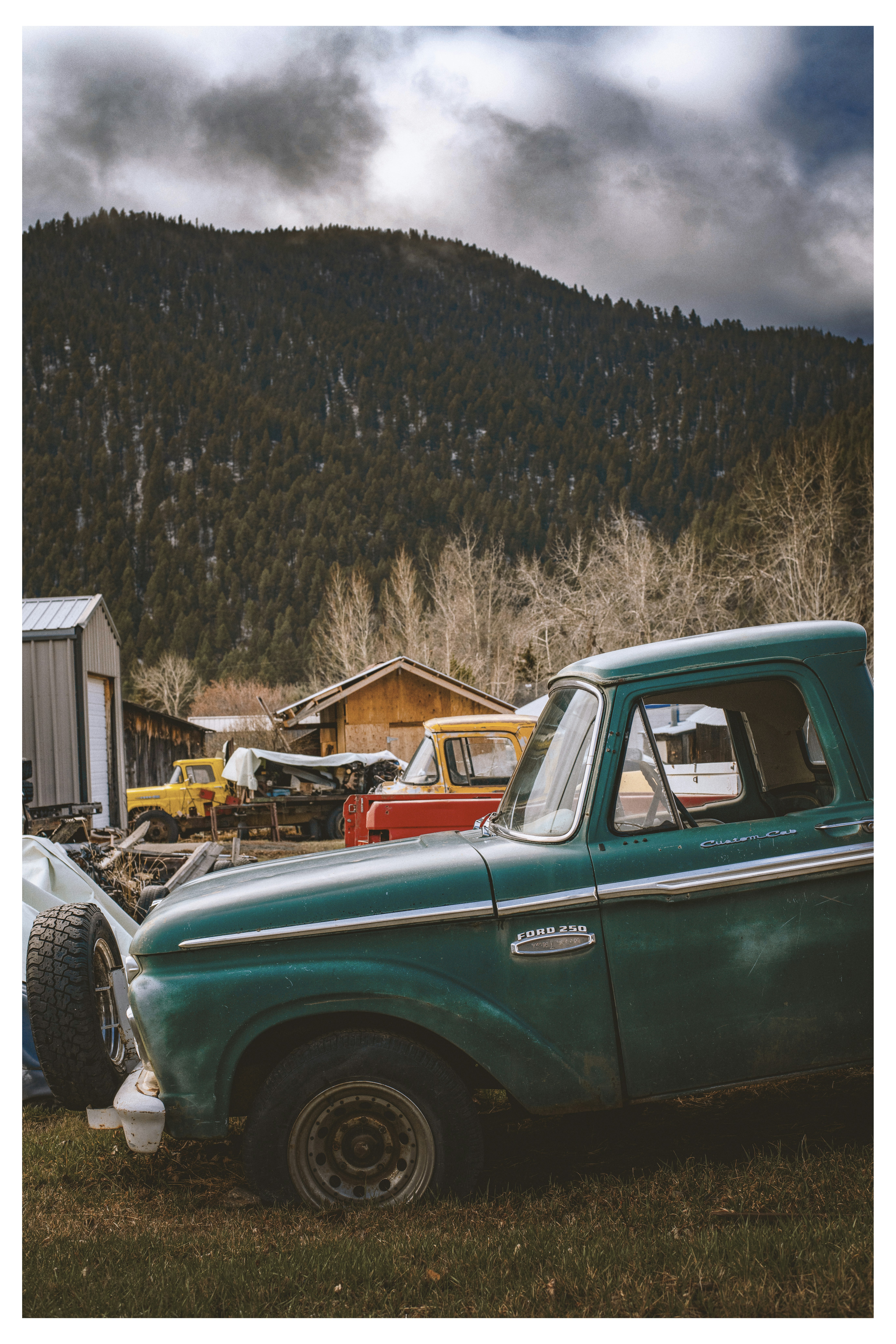 A Weathered Green Pickup Winks at a Mountain Junkyard