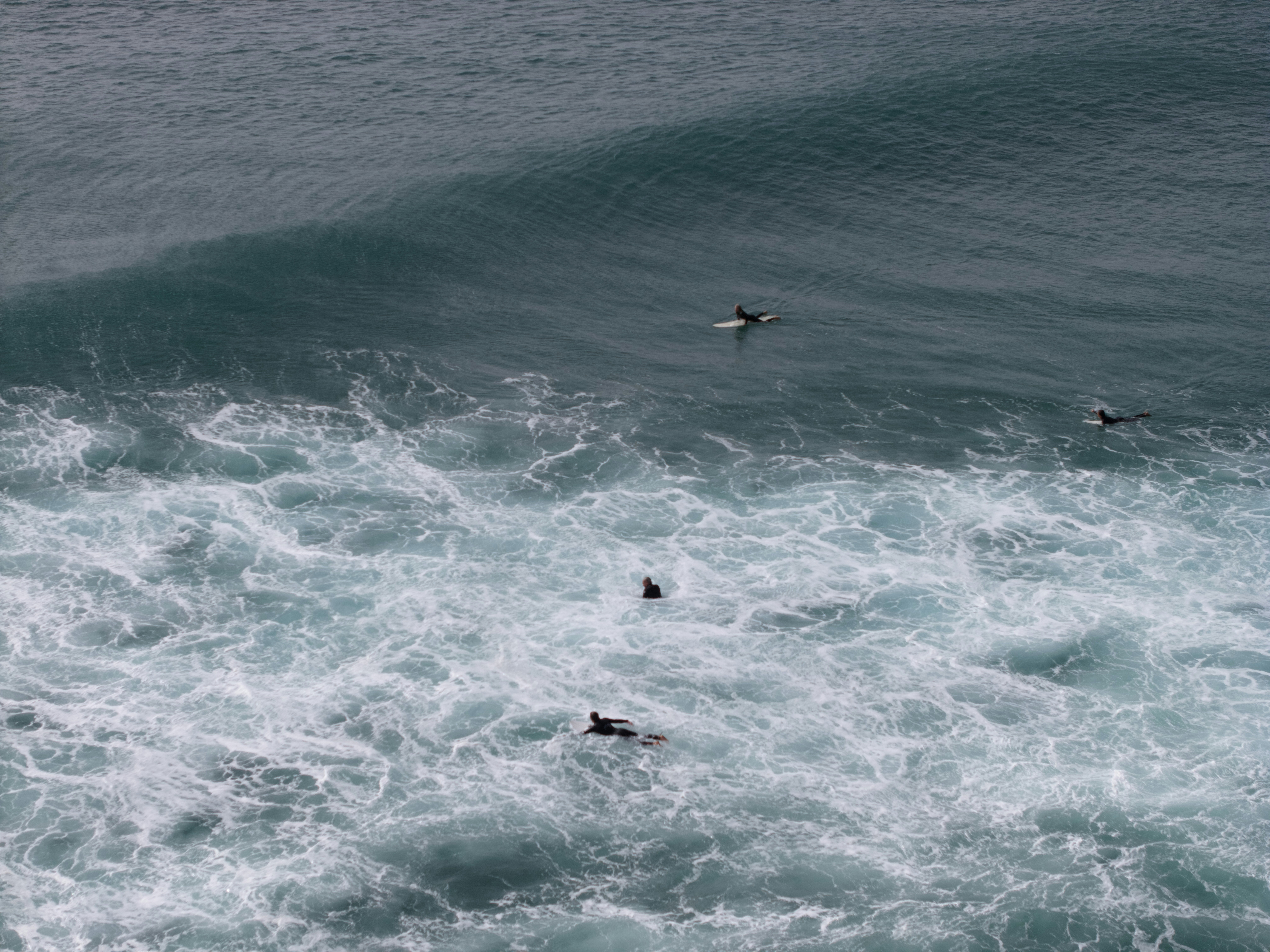 Surfing Silhouettes Riding the Teal Wake
