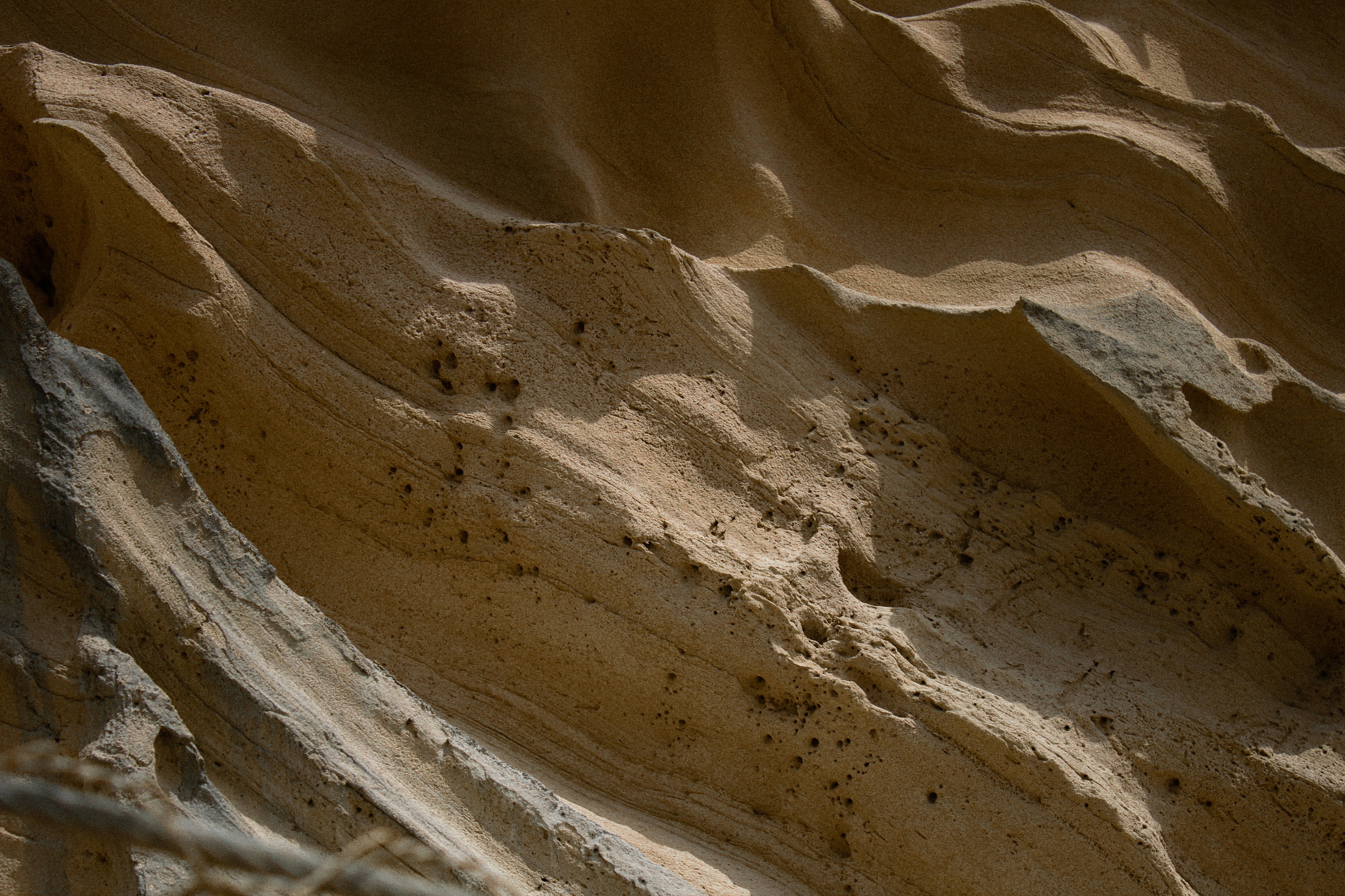 Echoes of Windcarved Dunes