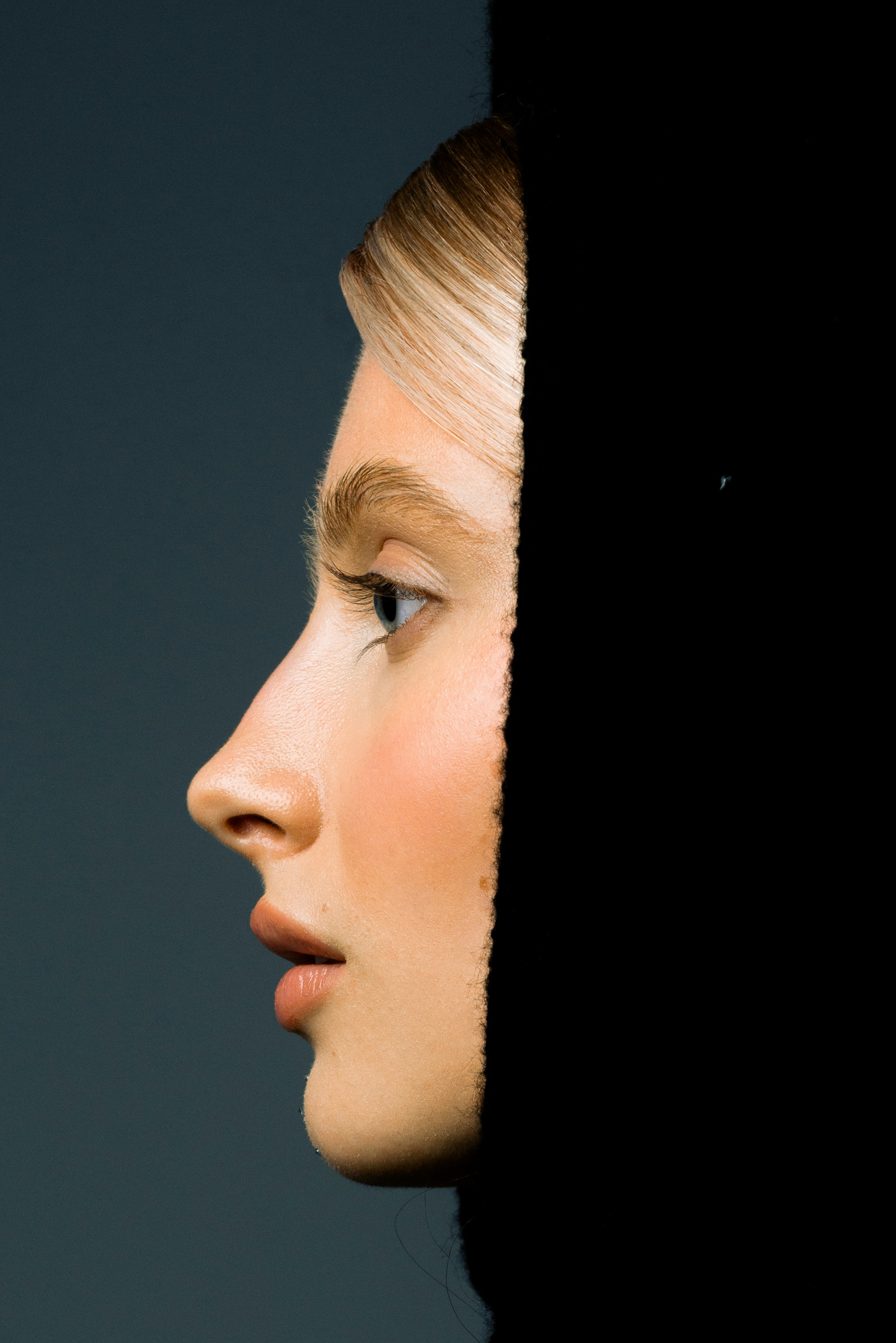 Profile in Shadow: The Half-Hidden Portrait