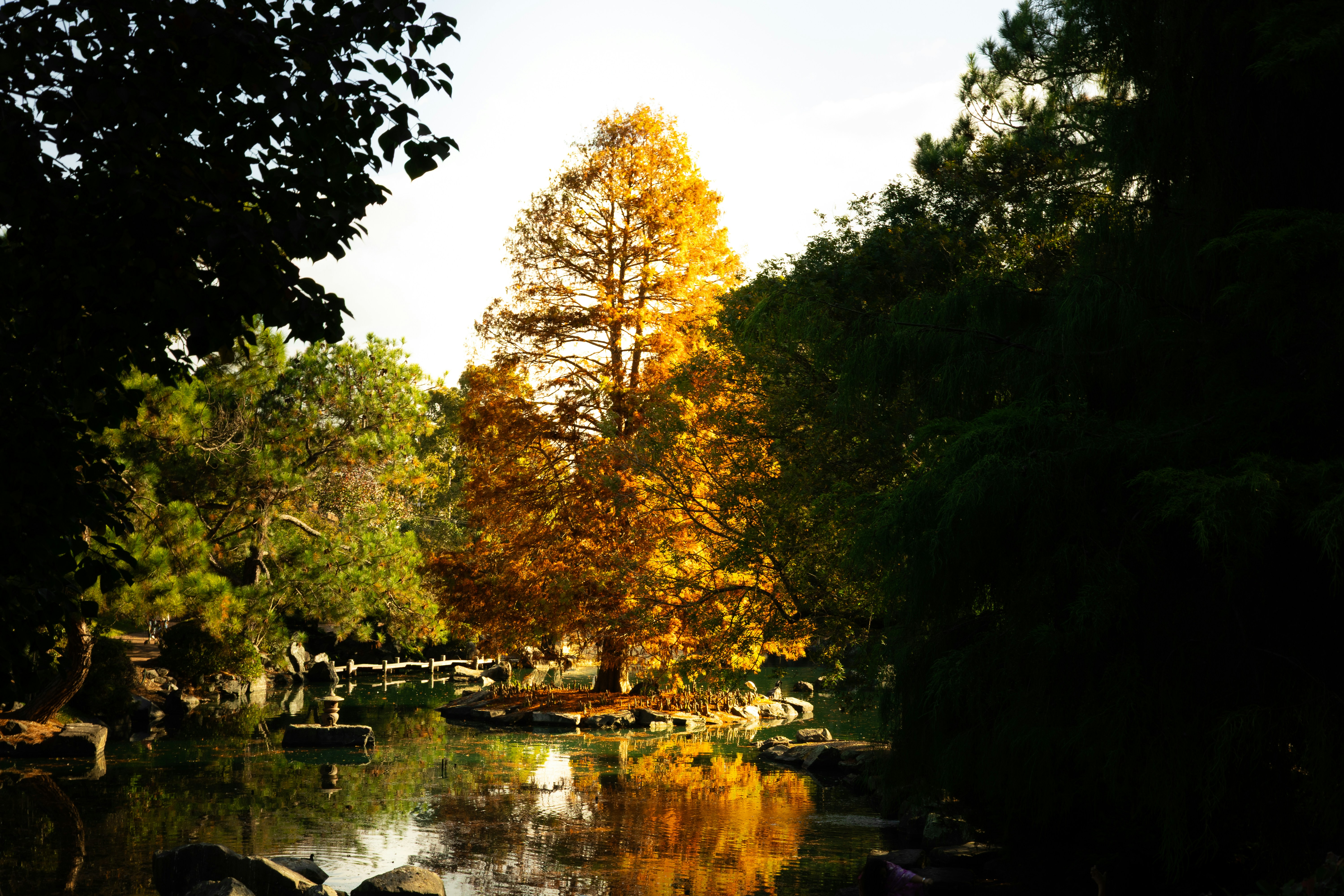 Autumn Stillness at the Riverside Glade