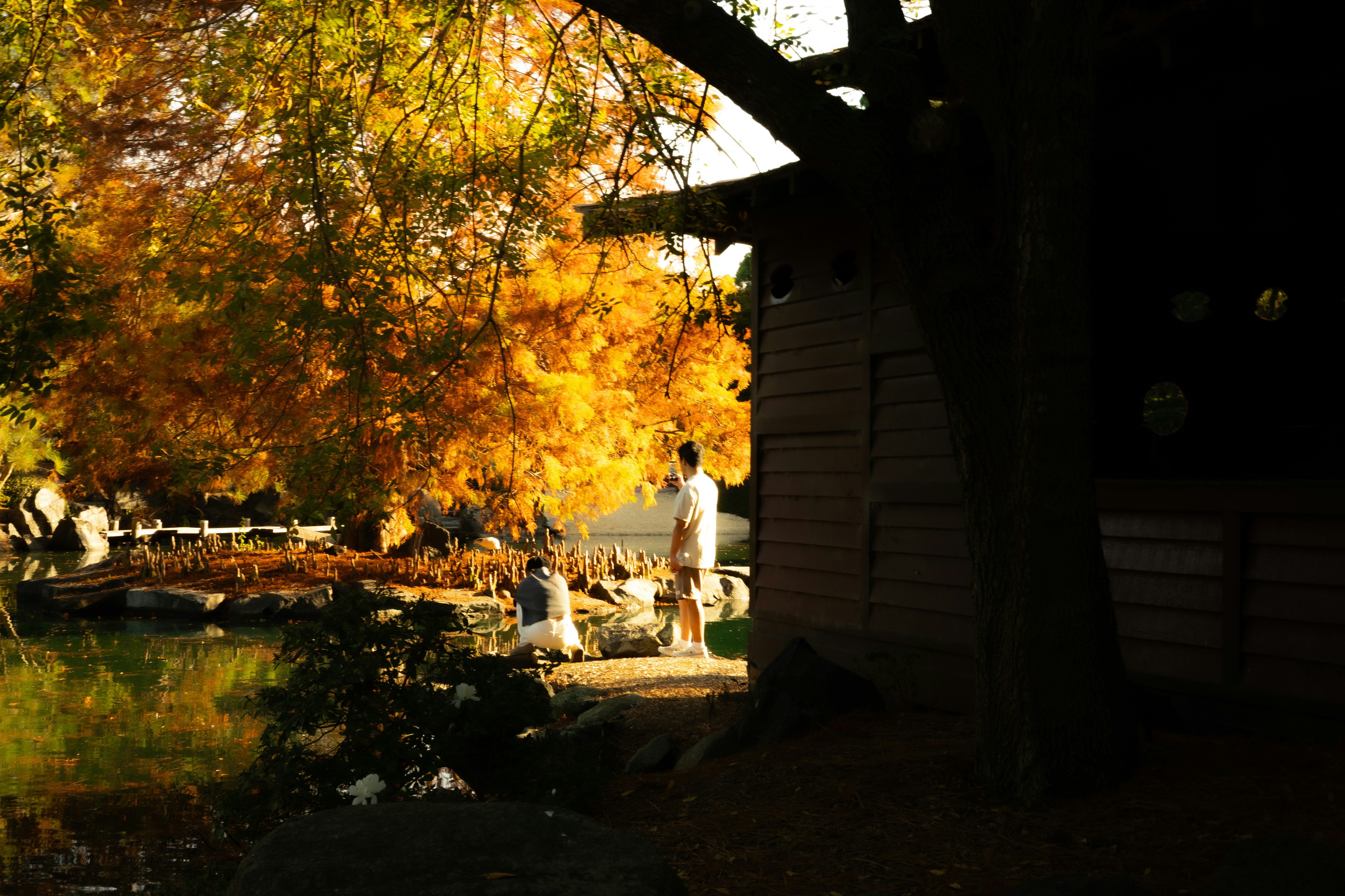 Autumn Silhouette by the Riverside Pavilion