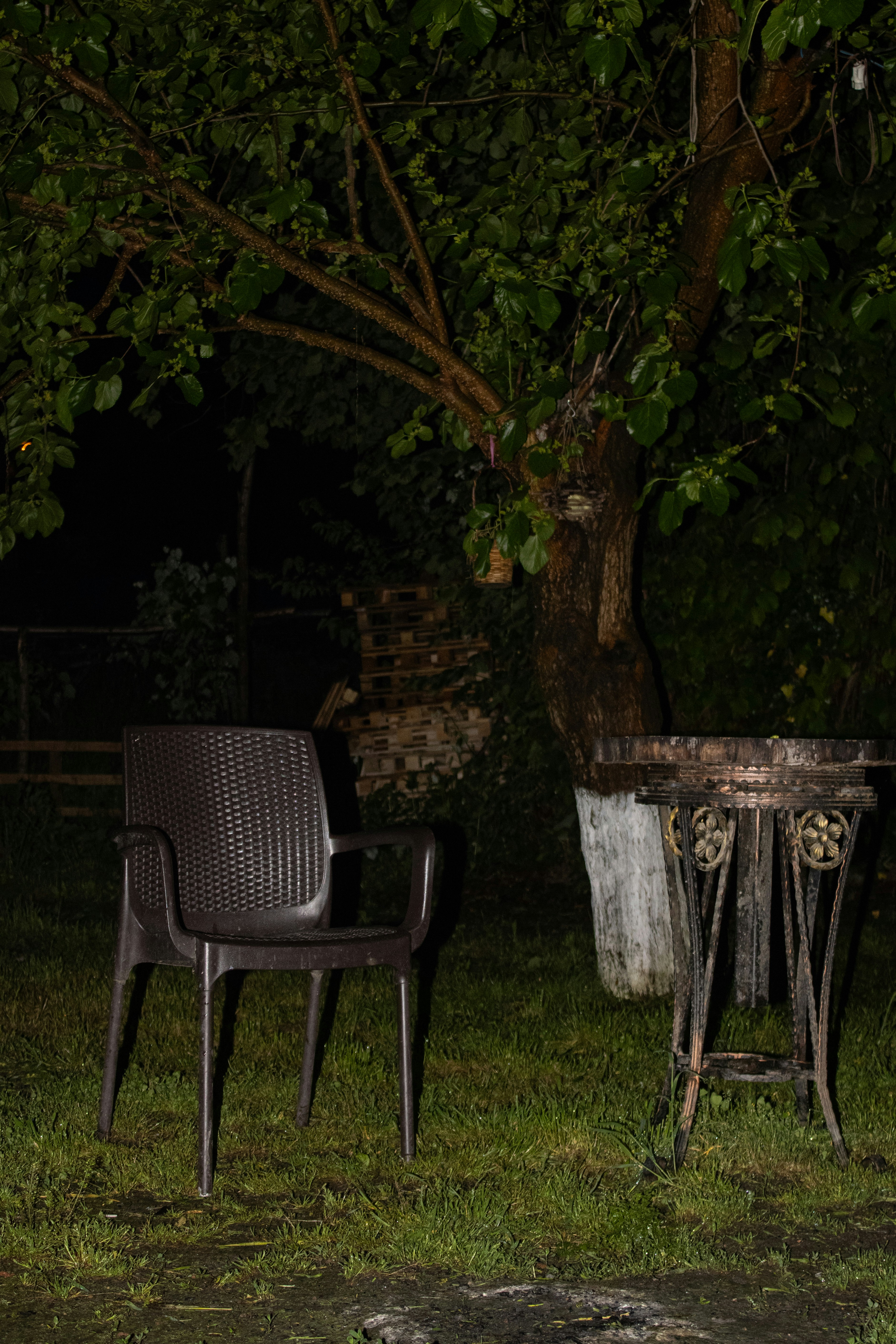 Night Garden Seat: A Lone Chair Under the Trees