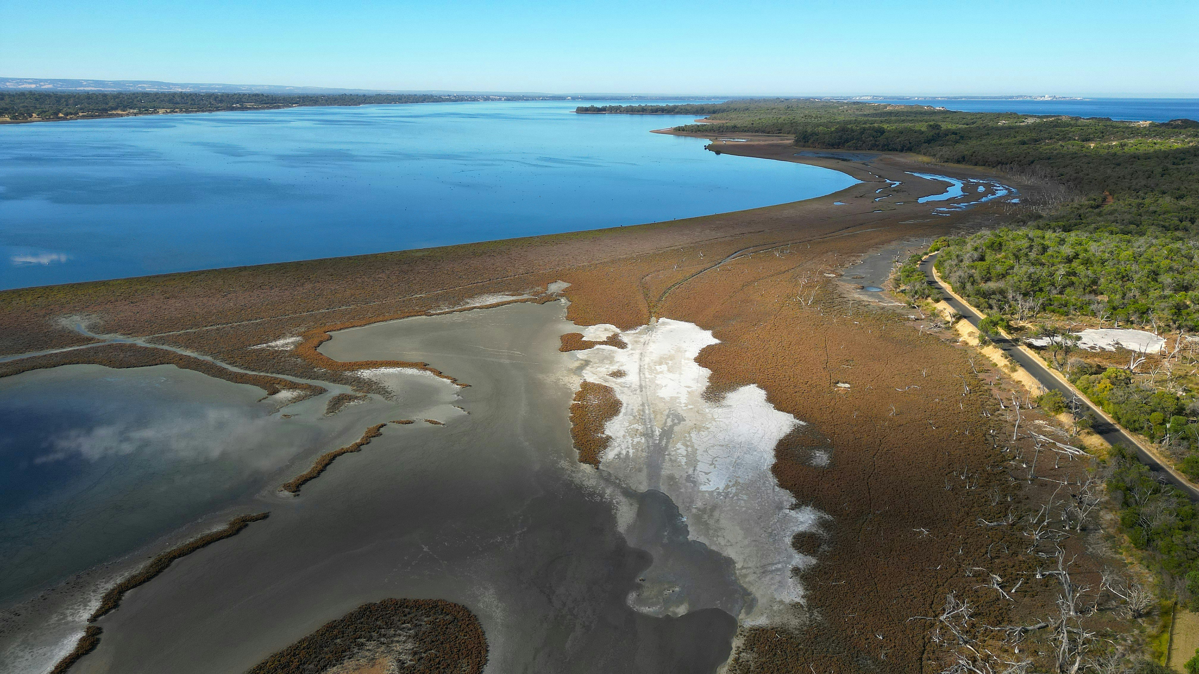 Aerial view of a coastal estuary where blue tidal water meets exposed mudflats and salt pans, with a narrow grassy shoreline and distant forest. The scene highlights the transition between aquatic and terrestrial environments.