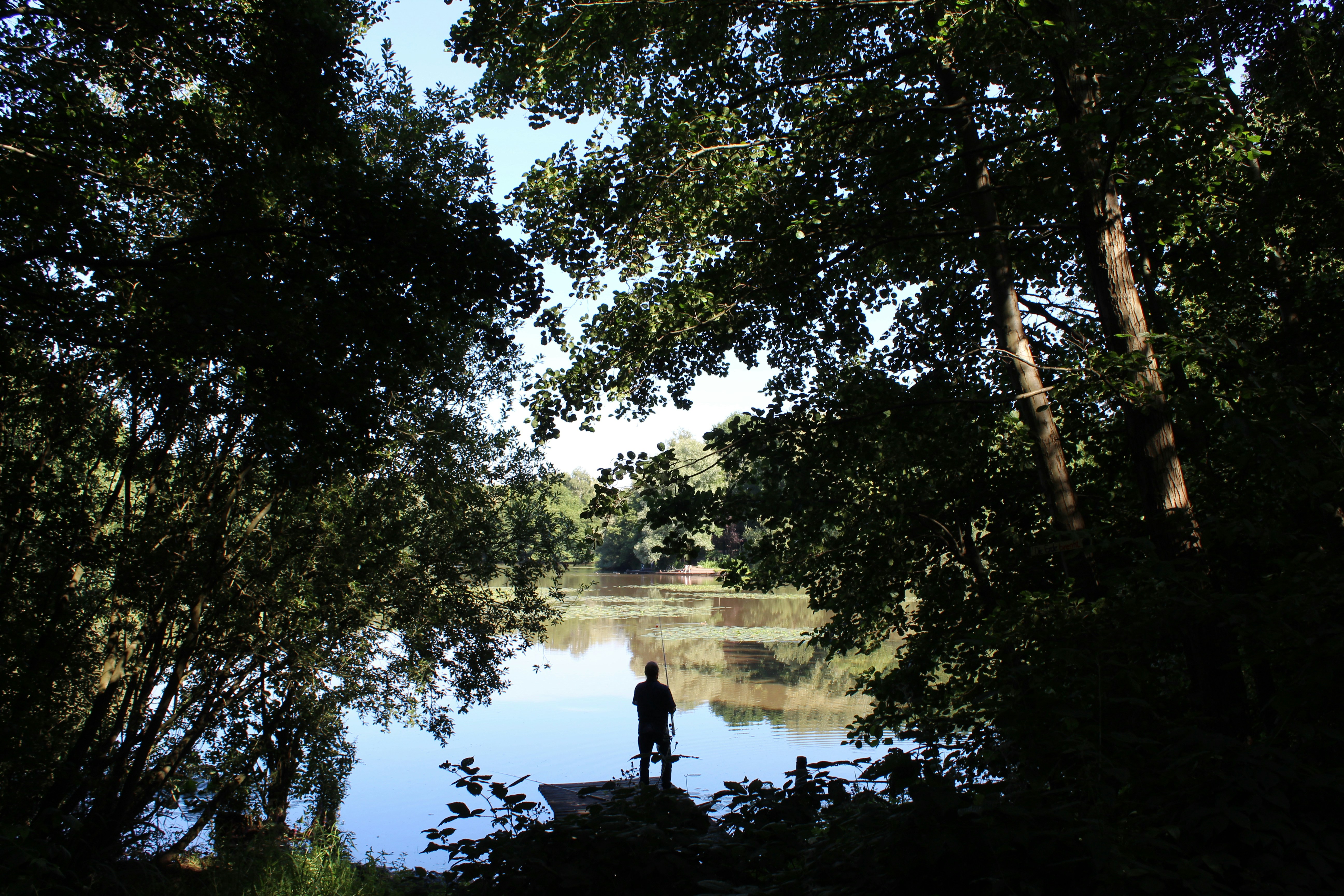 Silhouette by the Lake: A lone figure at the water’s edge