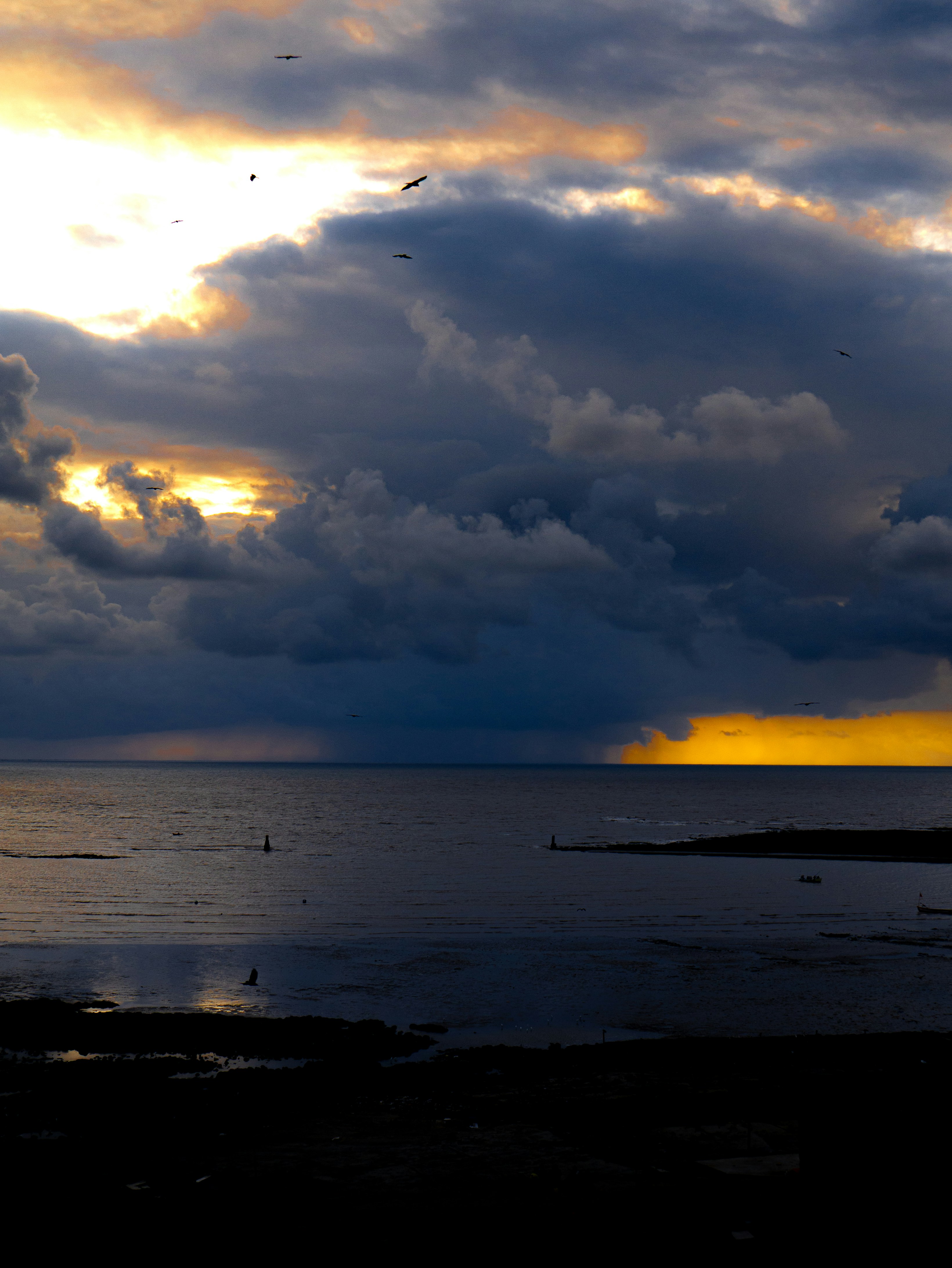 Twilight Over the Horizon: Birds in the Stormy Banner