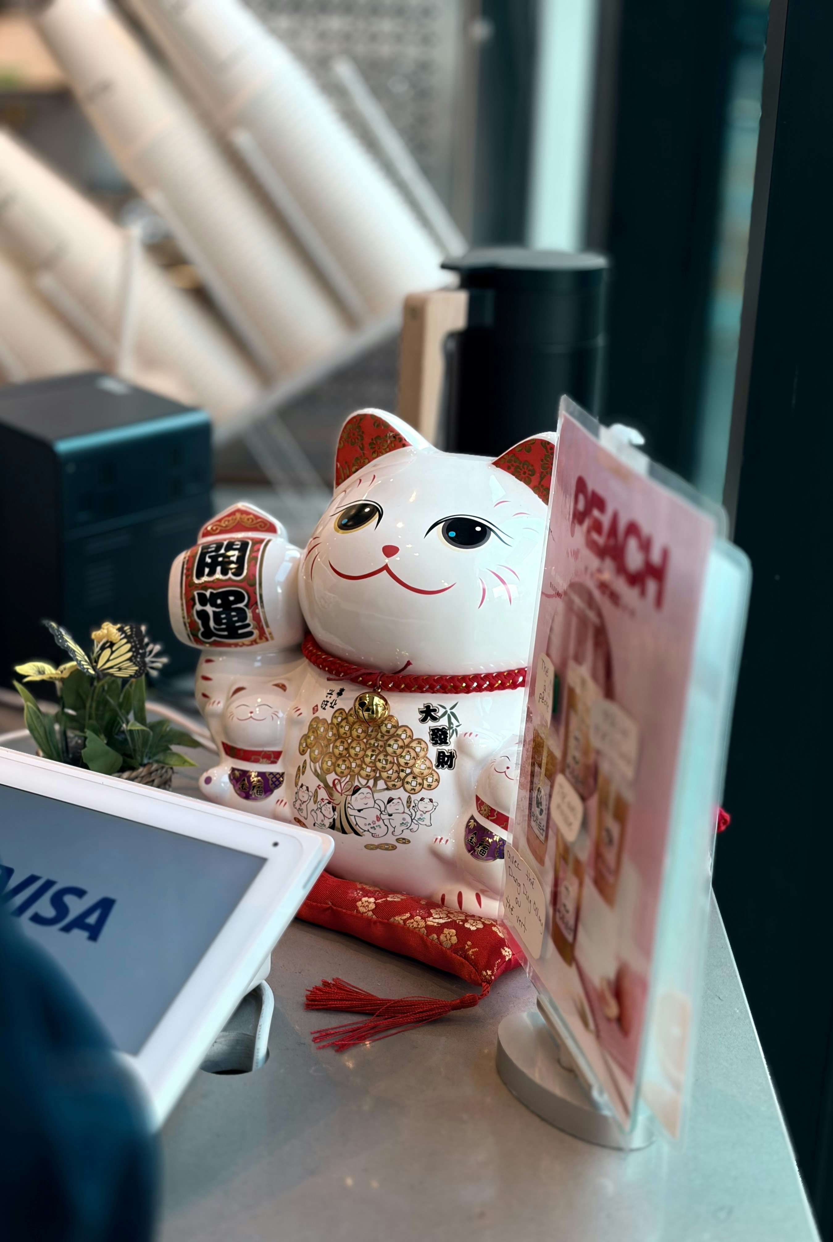 Lucky Cat at the Corner Stand
