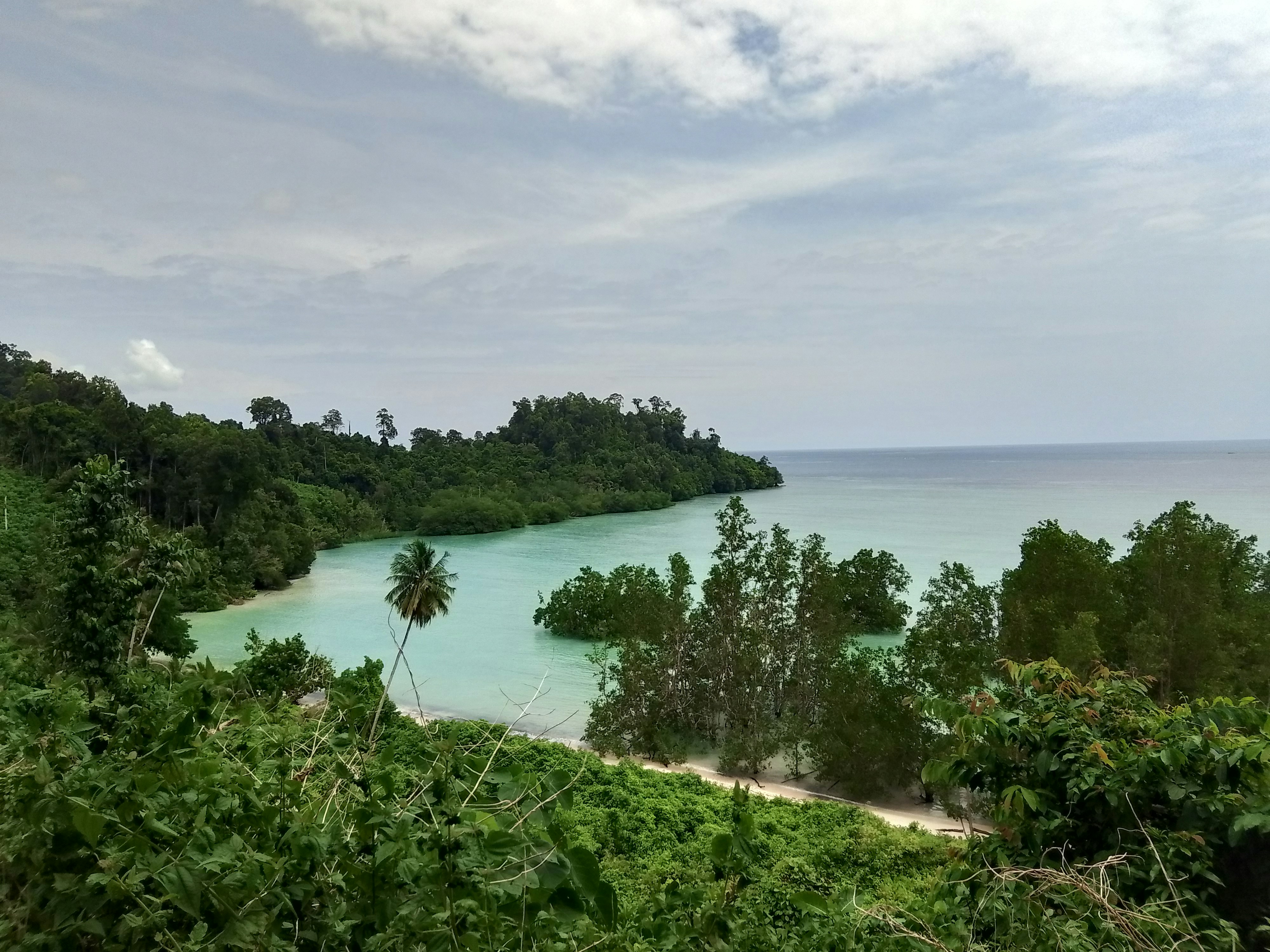 Turquoise ocean bay surrounded by lush tropical vegetation.