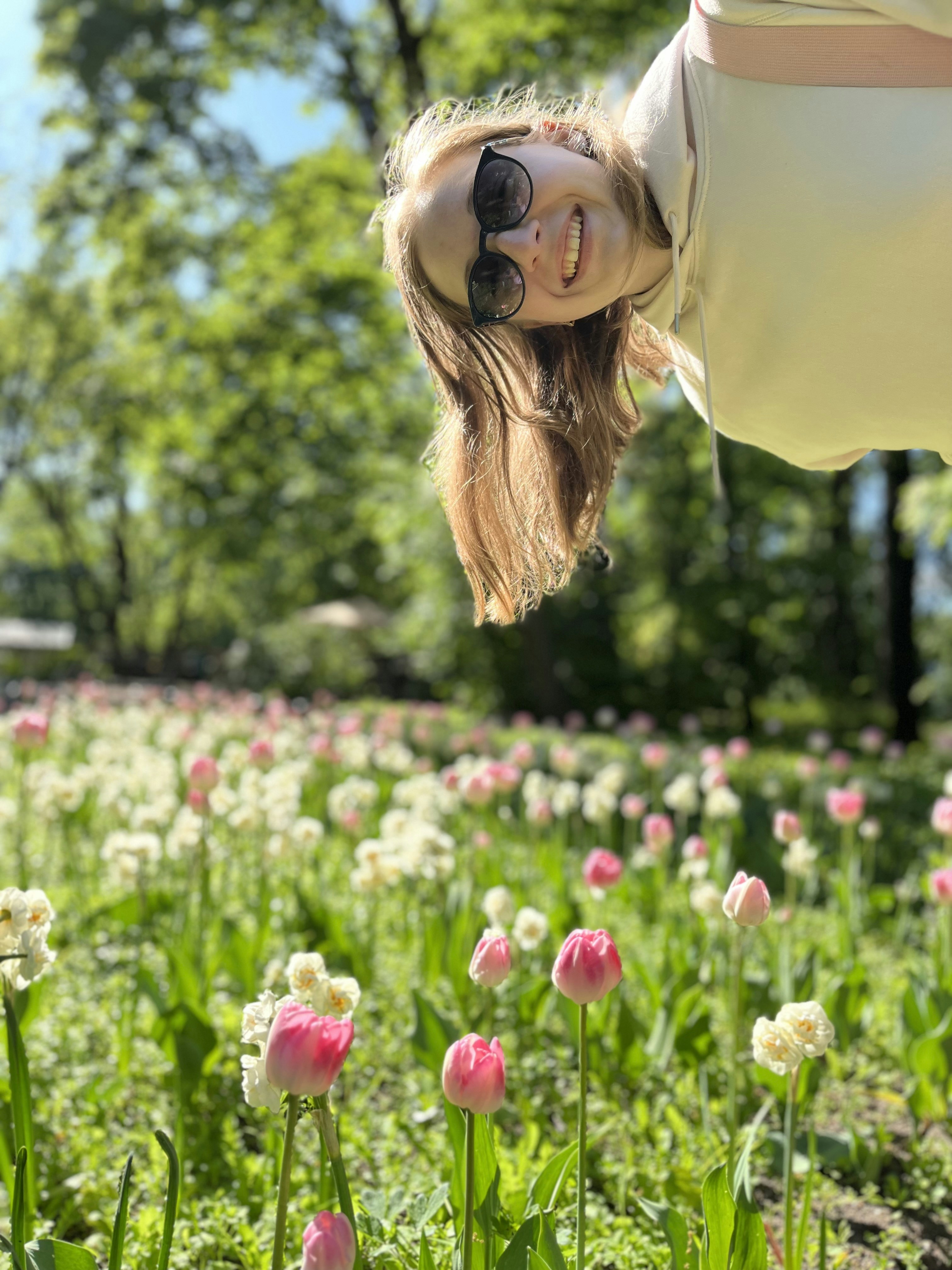 Sunlit Smile Over Tulip Field