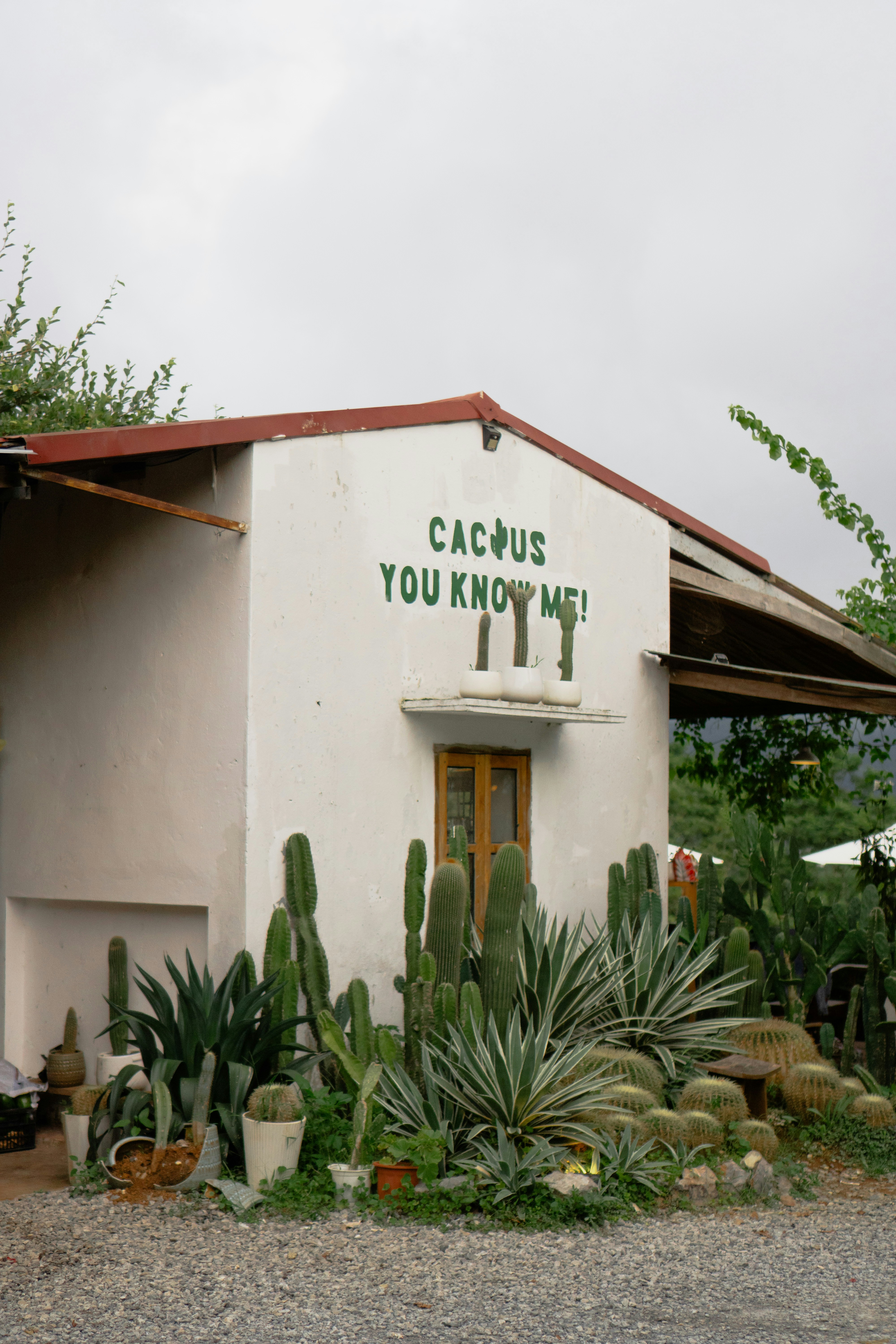 Cactus Cottage: A Tiny Oasis in the Spanish-Style Facade