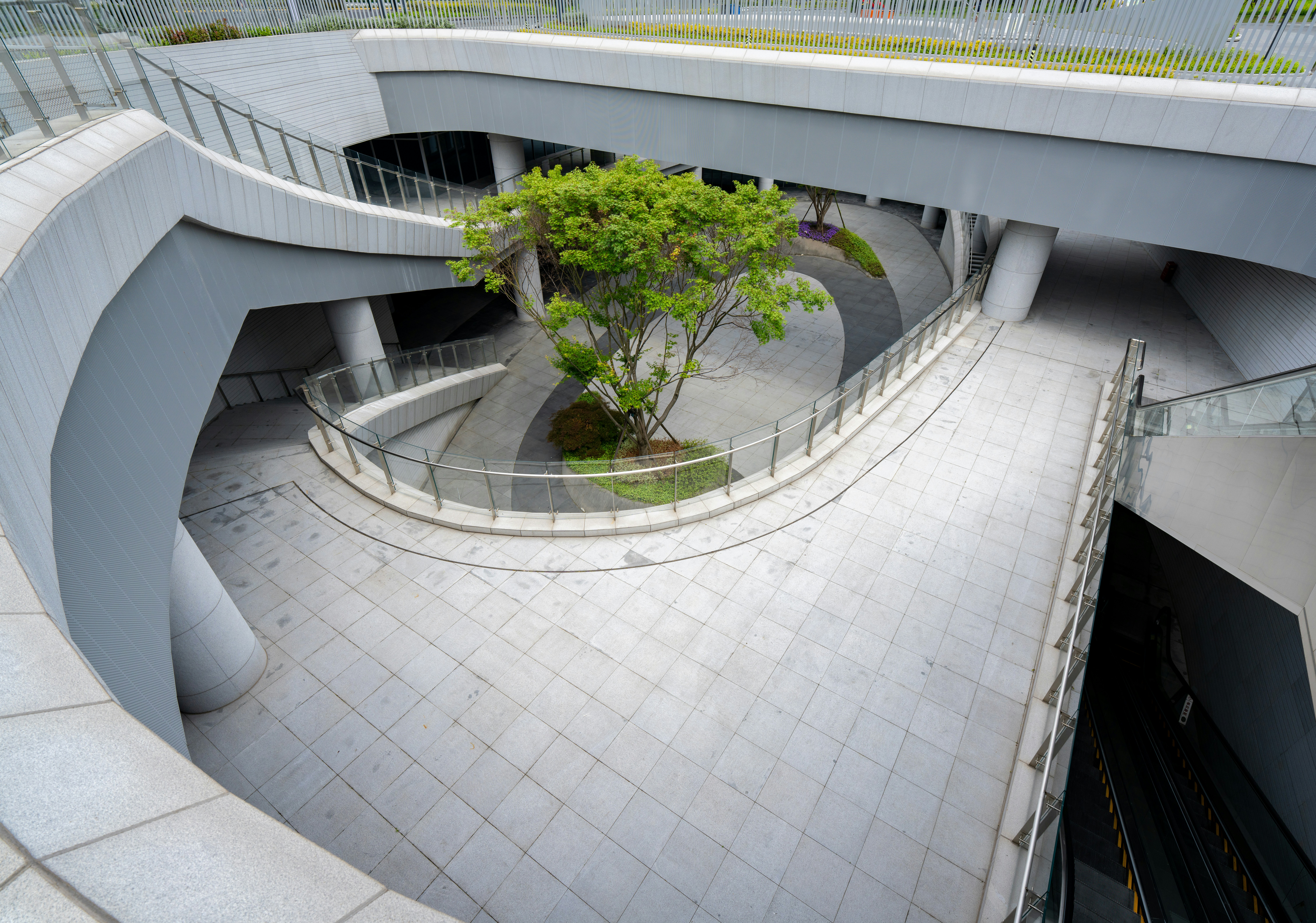 Circular Skyward: The Path Beneath a Serpentine Atrium