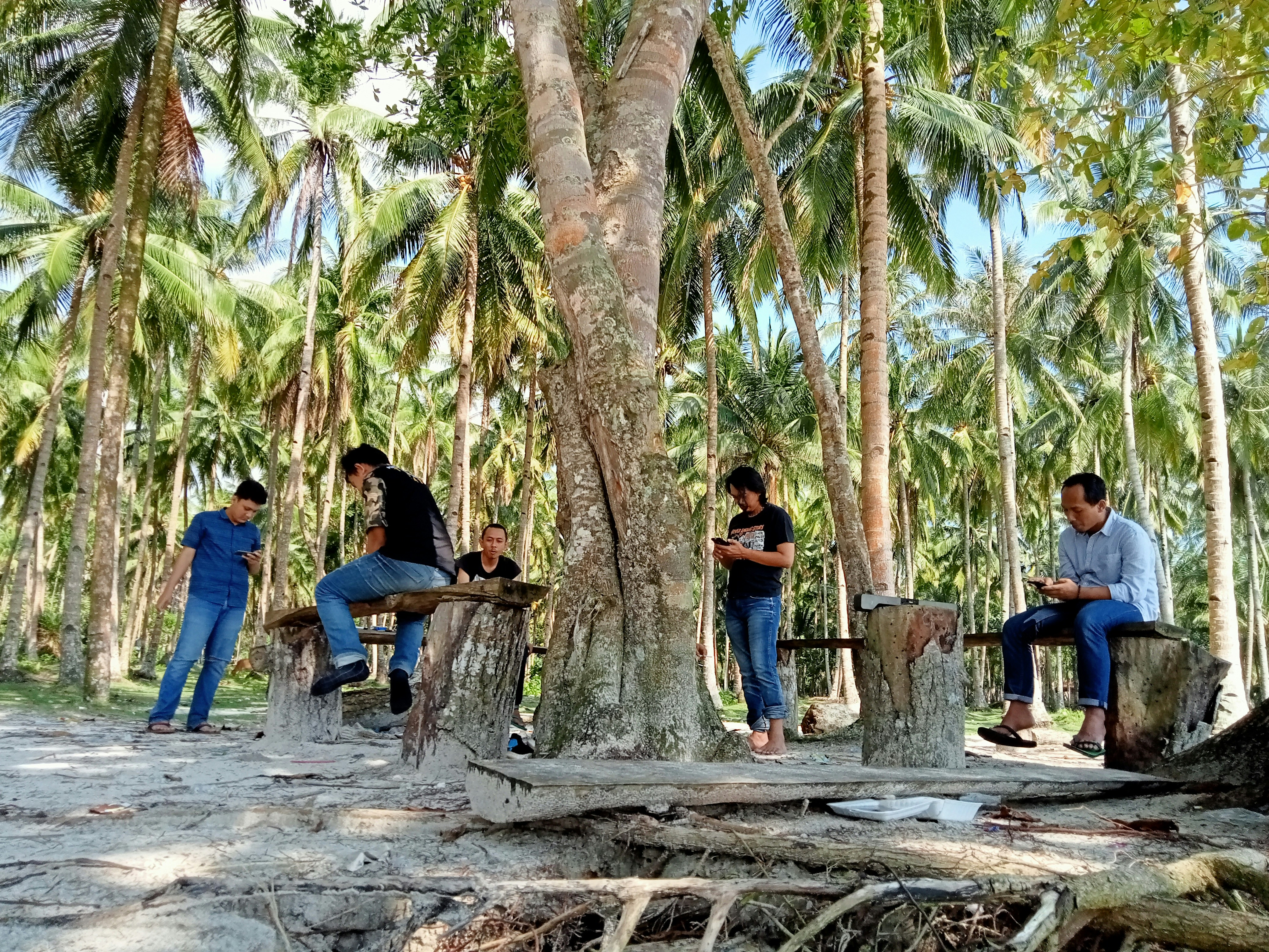 Palm-Shaded Breaktime on a Seaside Path