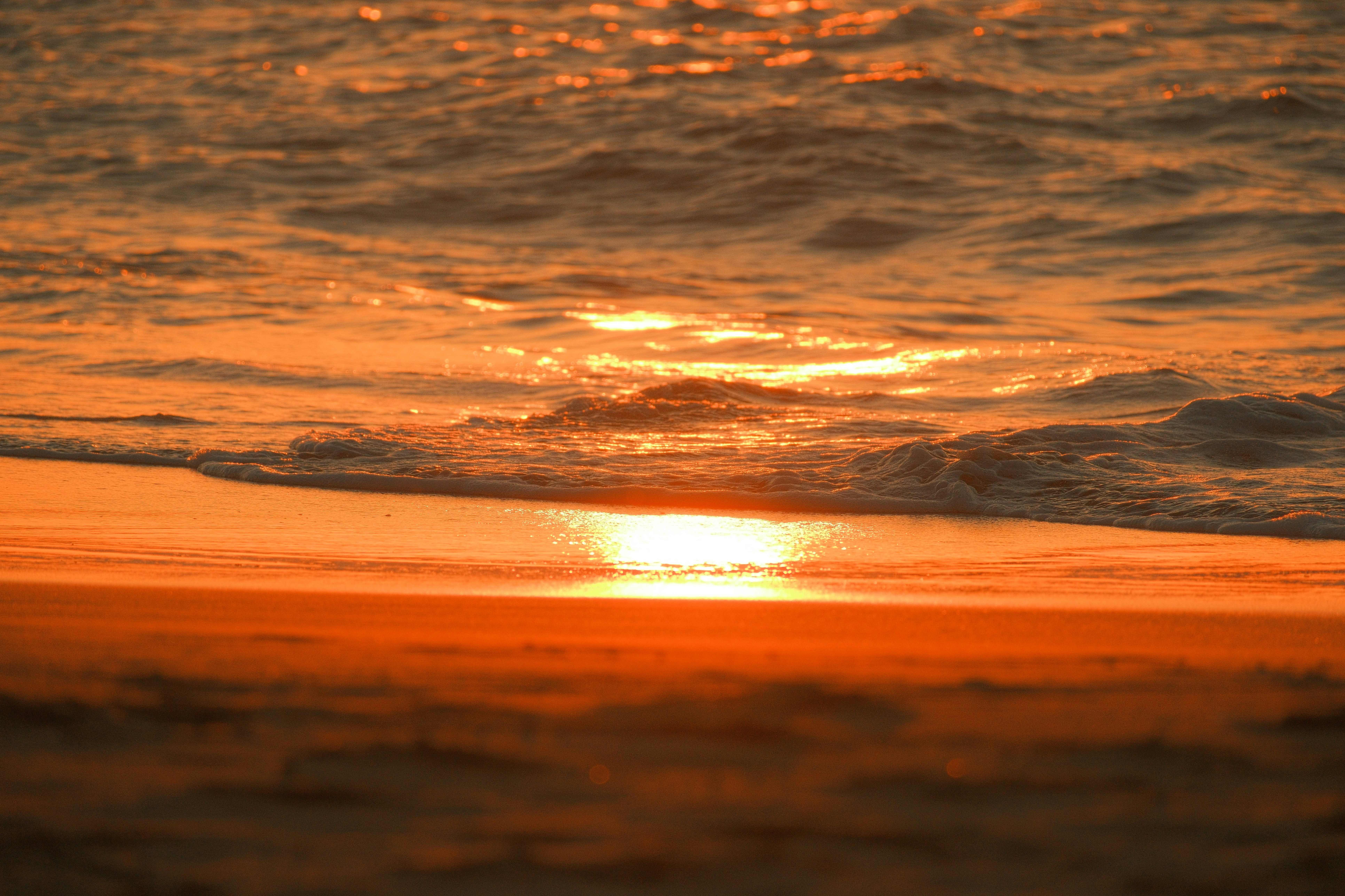 Ember Tide at the Quiet Edge of Day