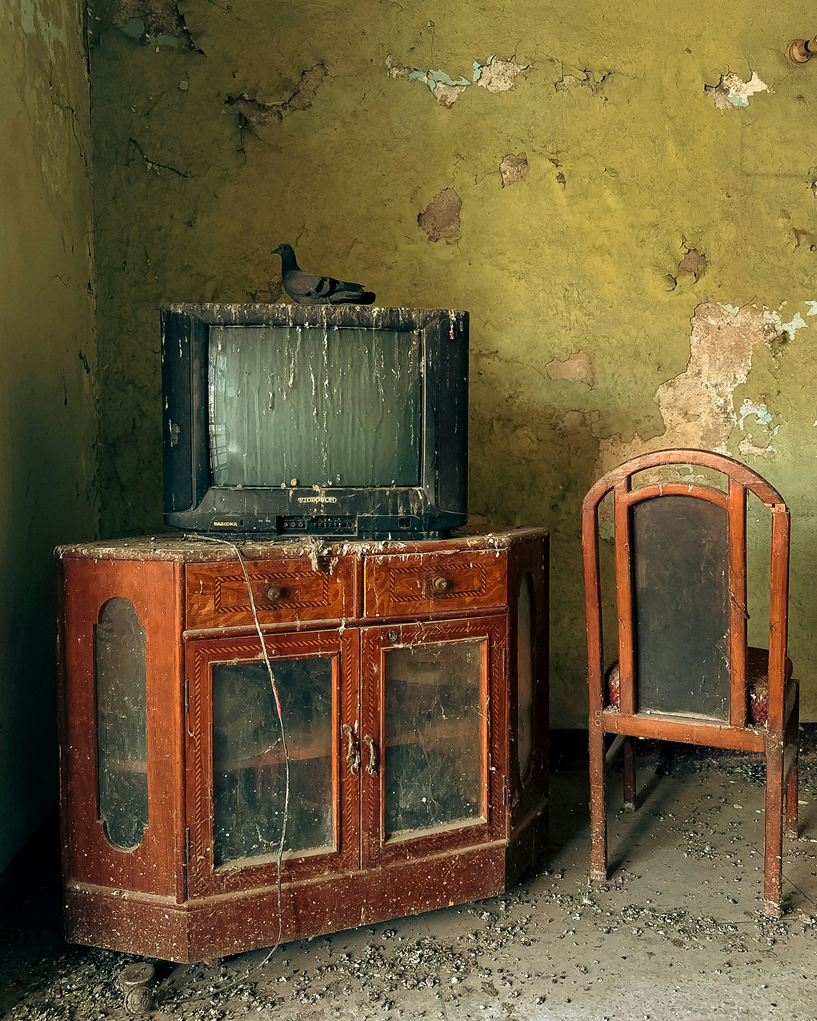 Dusty relics: a lone pigeon on the relic television