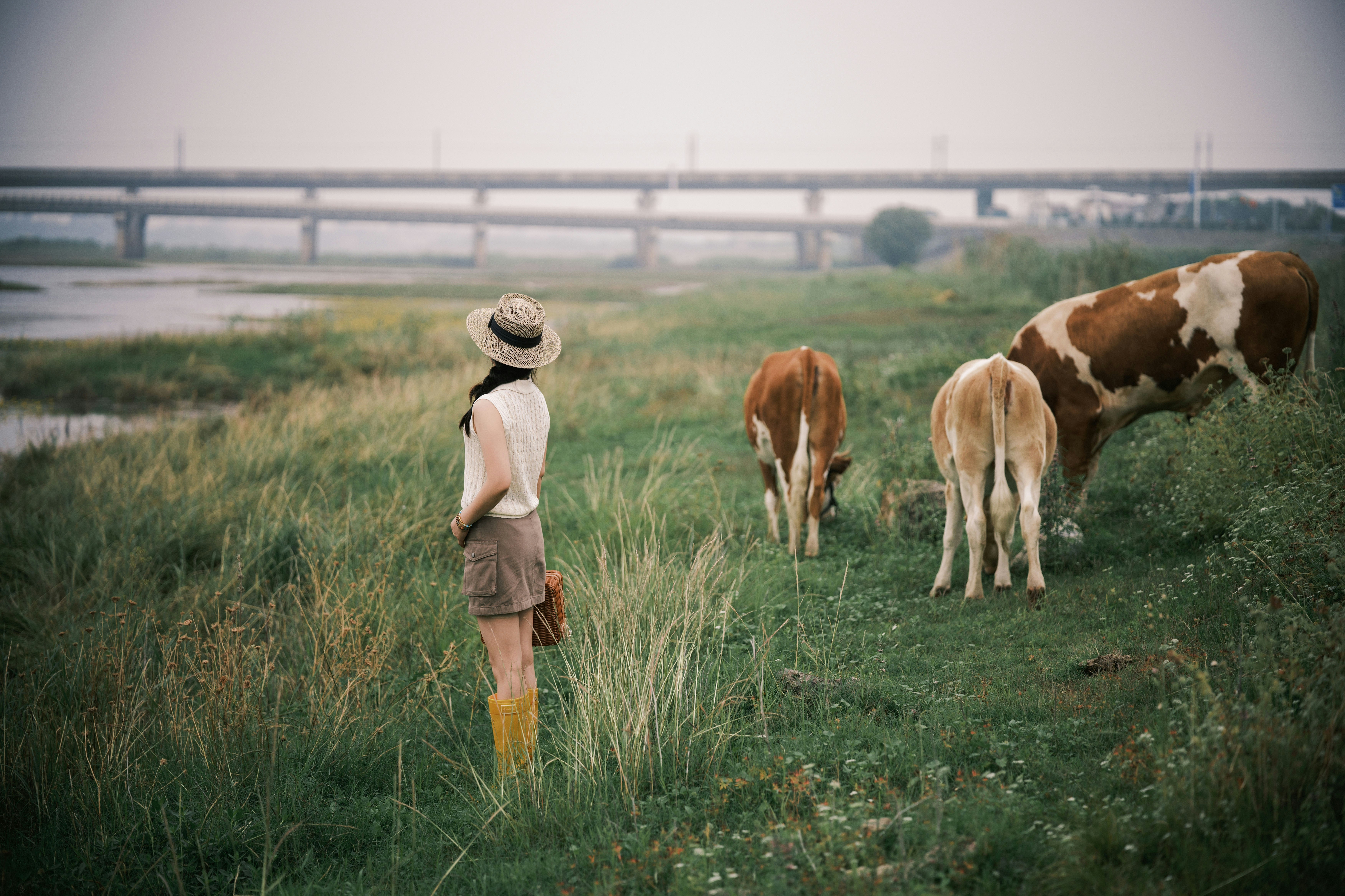 Pasture Quiet: A Woman in a Sunhat Watching Cattle by the River