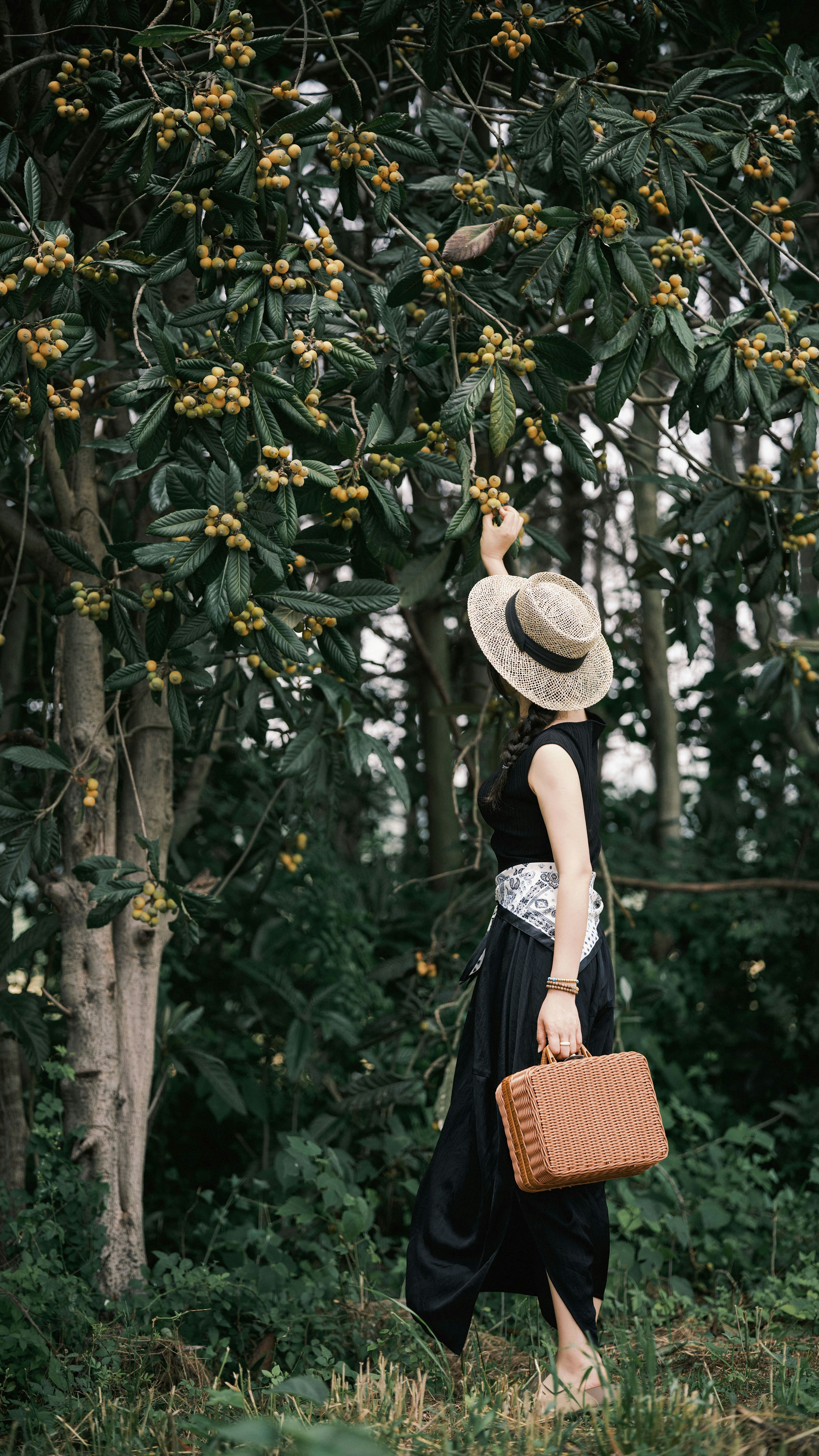 Sunhat and Citrus Trellis: A Quiet Stroll Among Berries