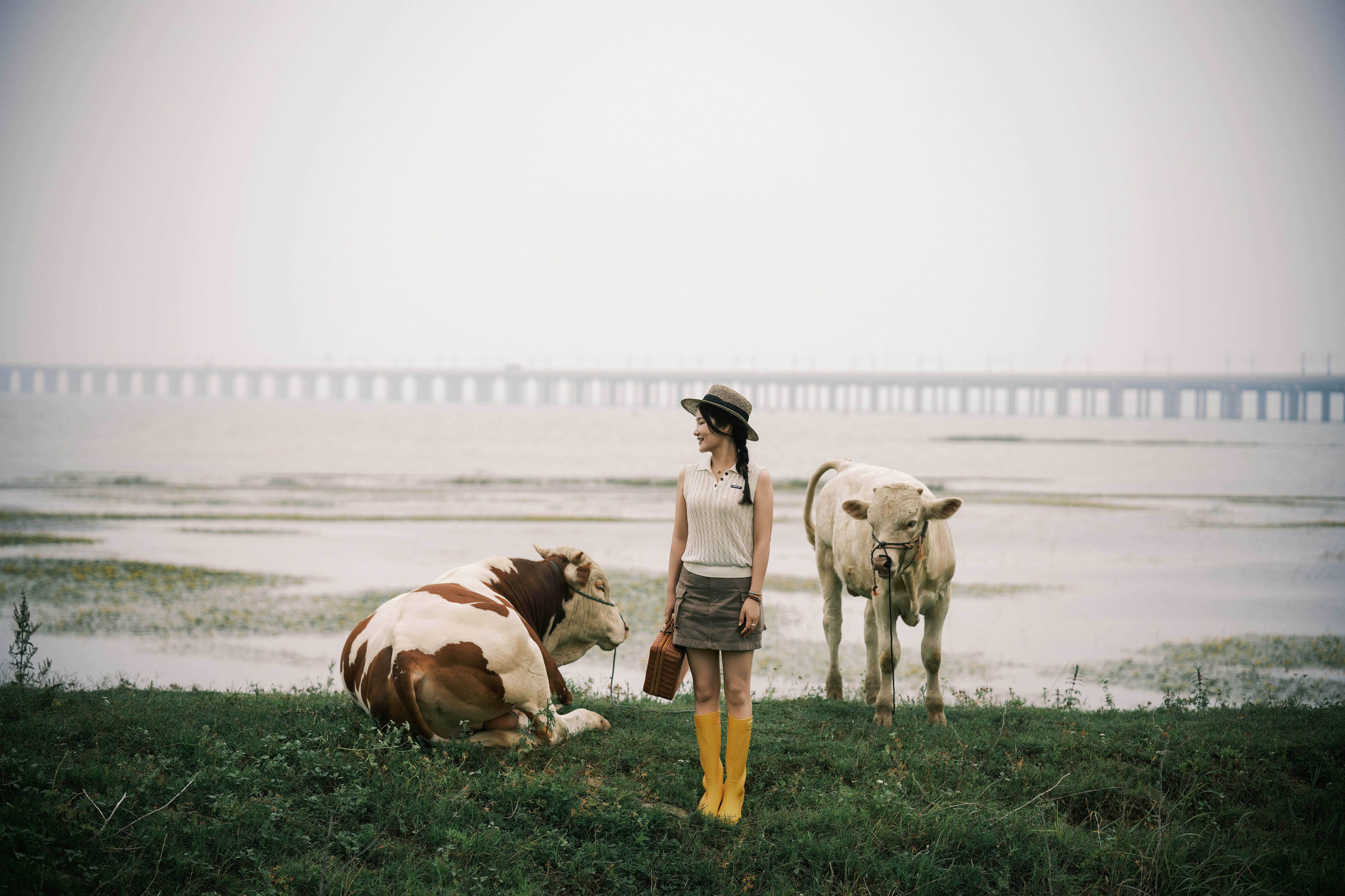 Coastal Encounter: Girl in Yellow Boots Among Cows by the Distant Pier