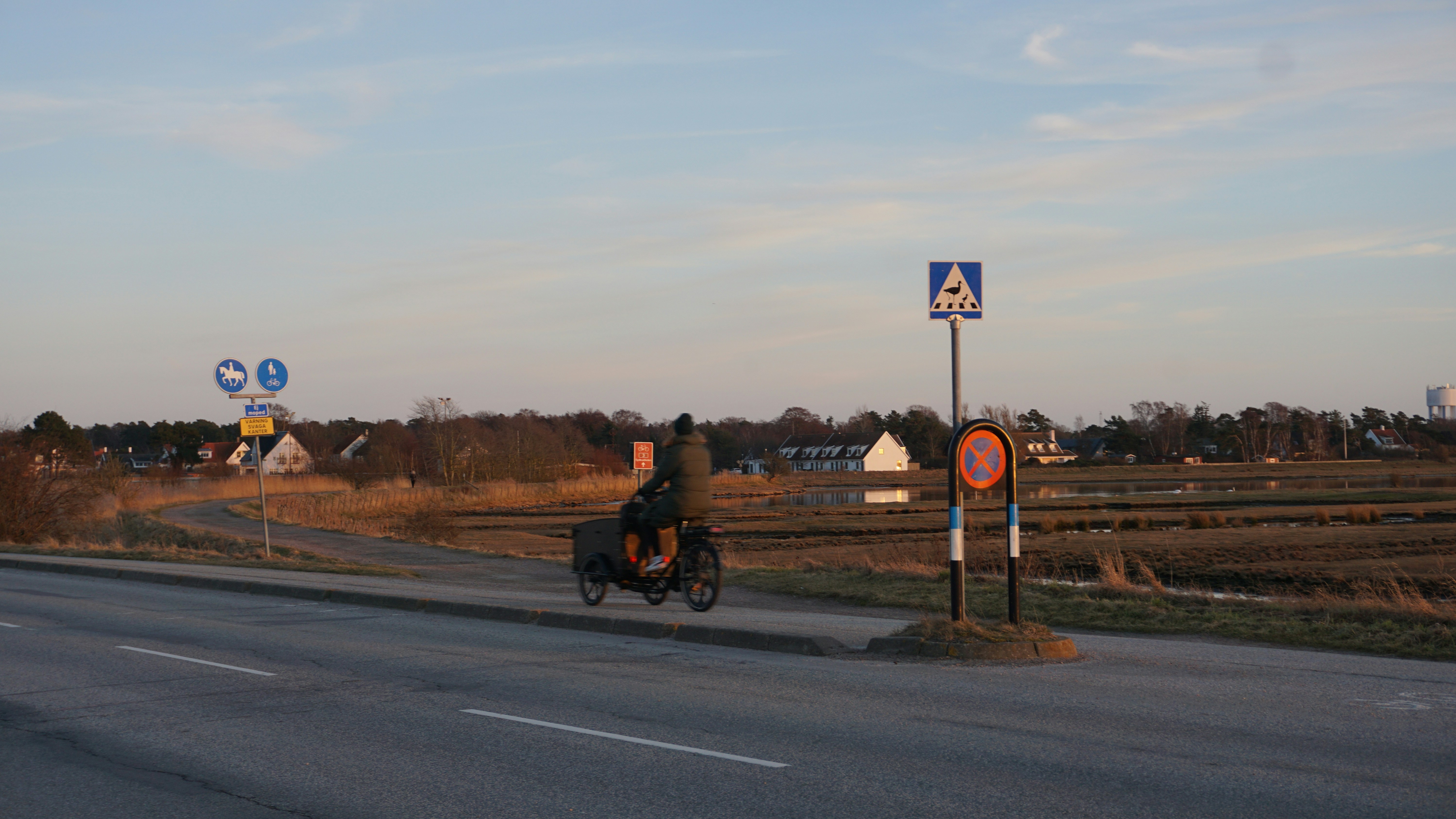 Rural Roadside Moment: A Cyclist at Dusk