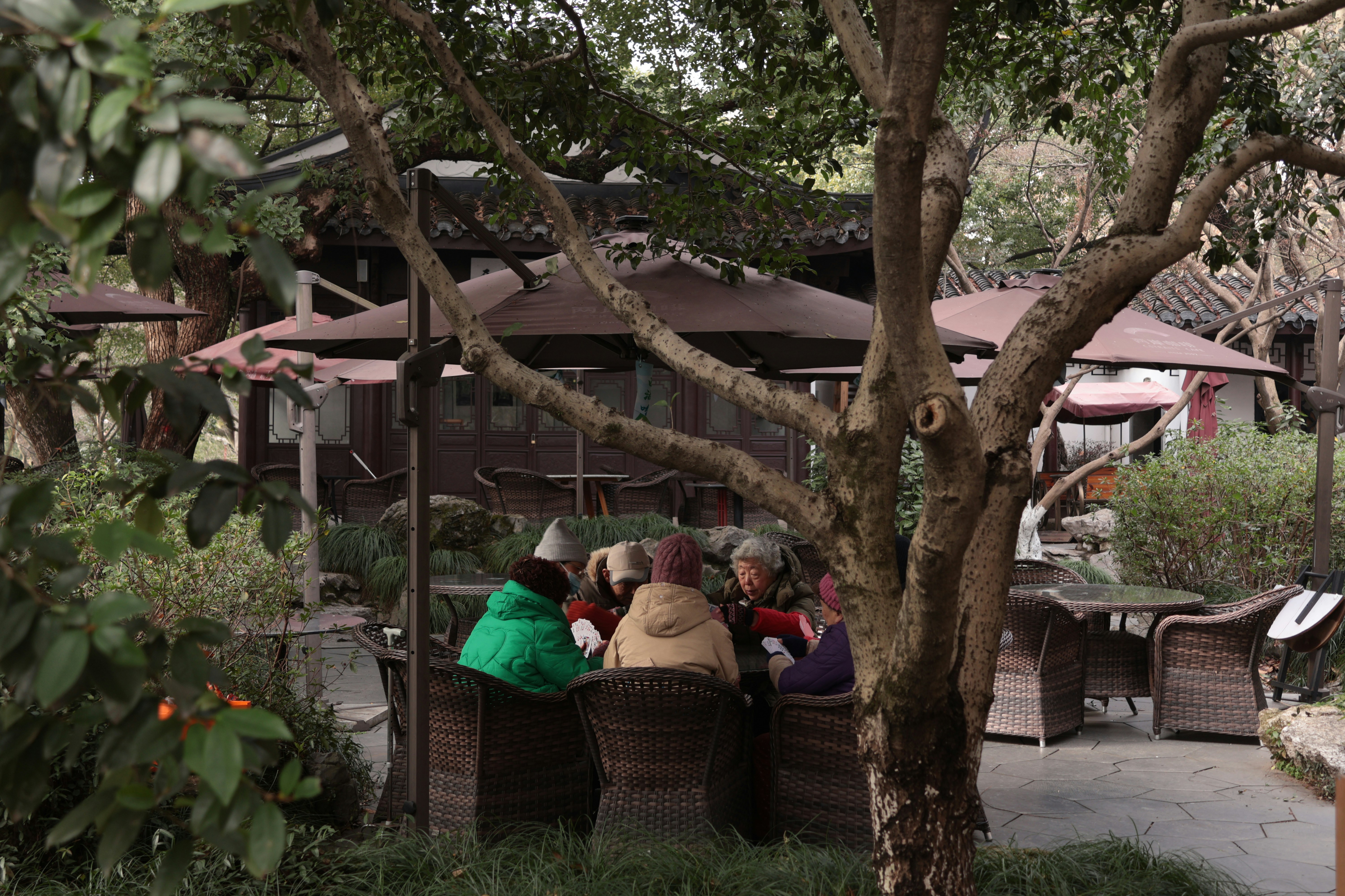 Afternoon Gather at the Shaded Courtyard