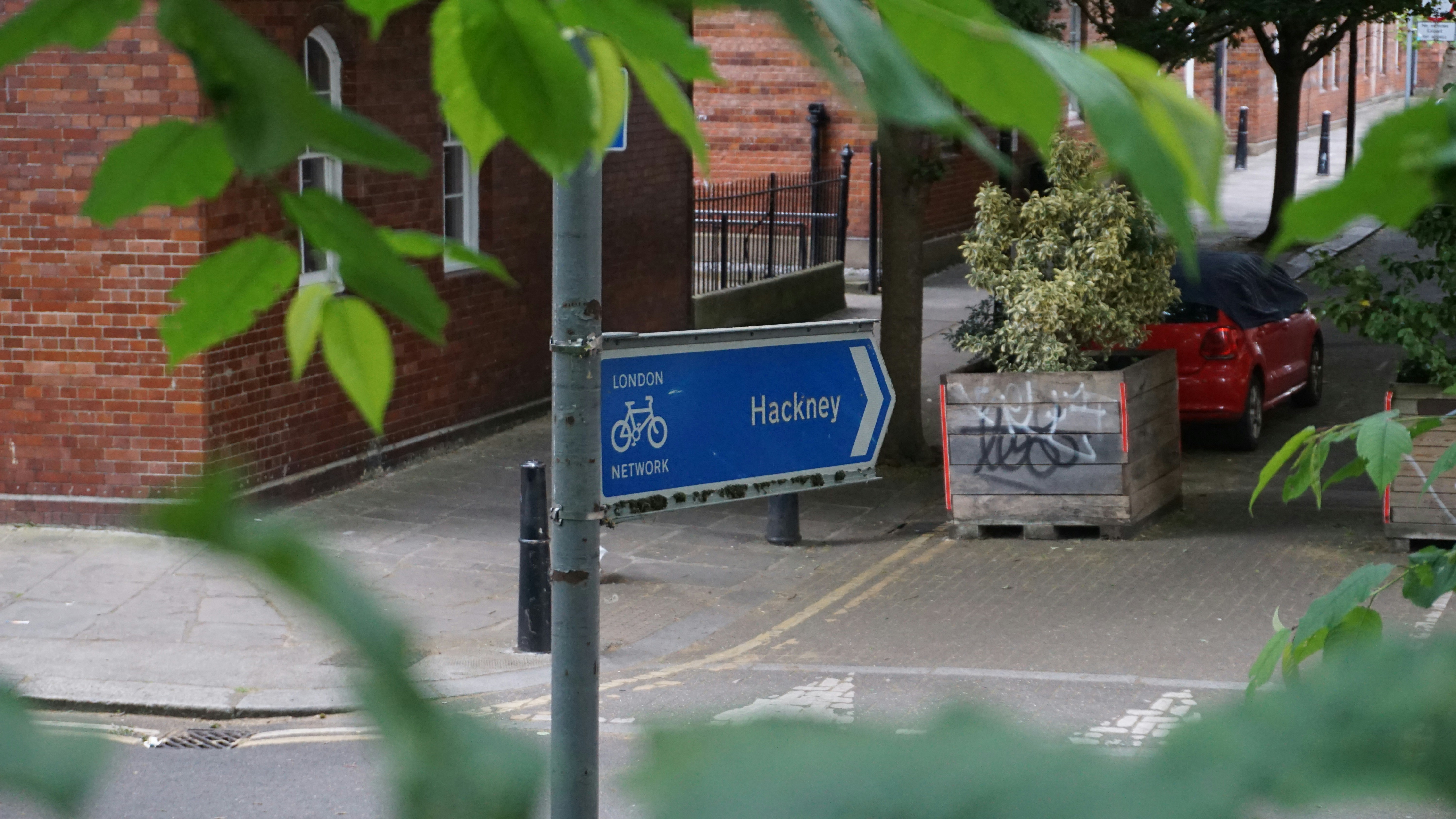 Blue London Bike Network Sign Framed by Urban Greens
