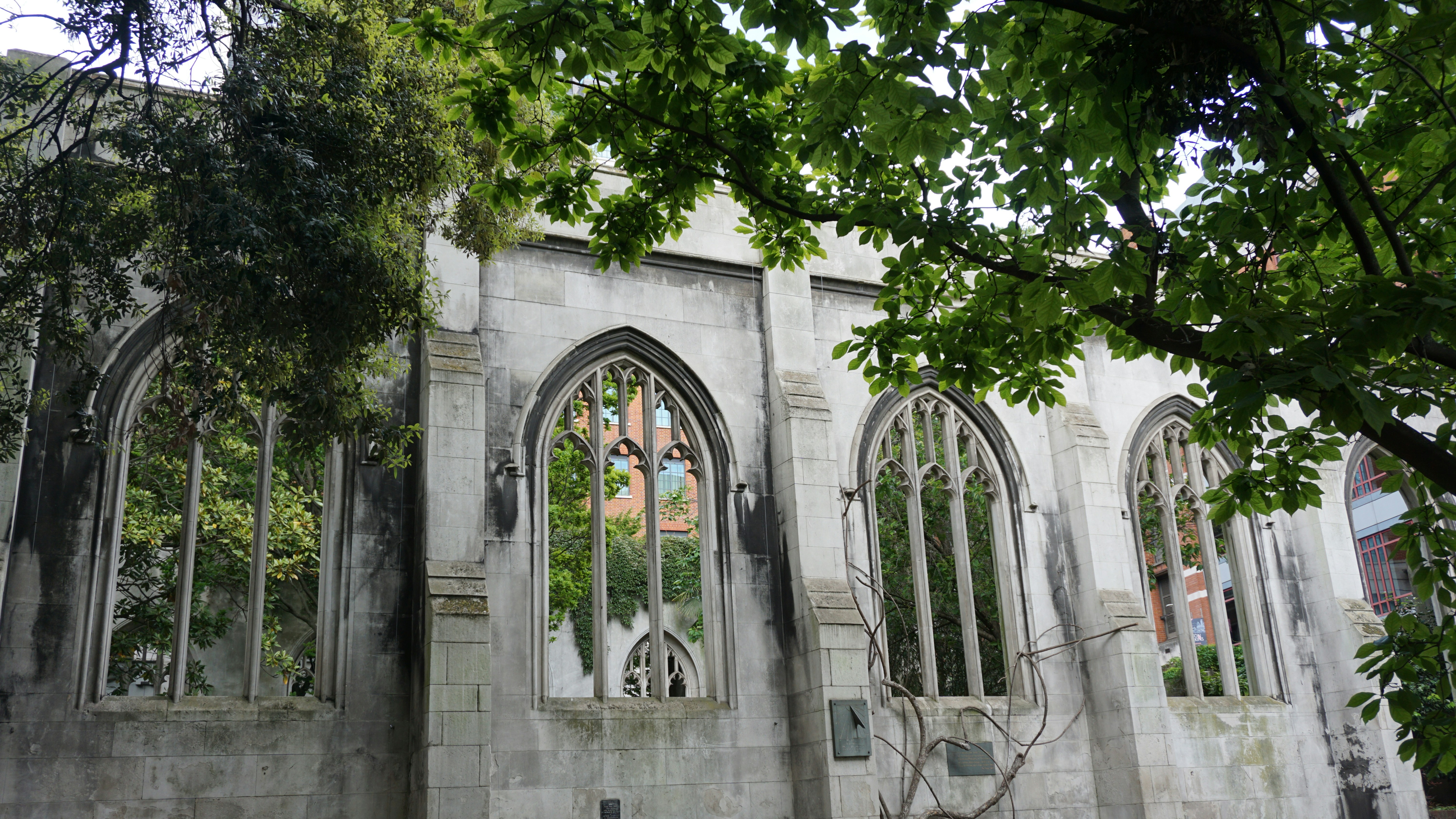 Ancient Arches Through a Canopy of Green