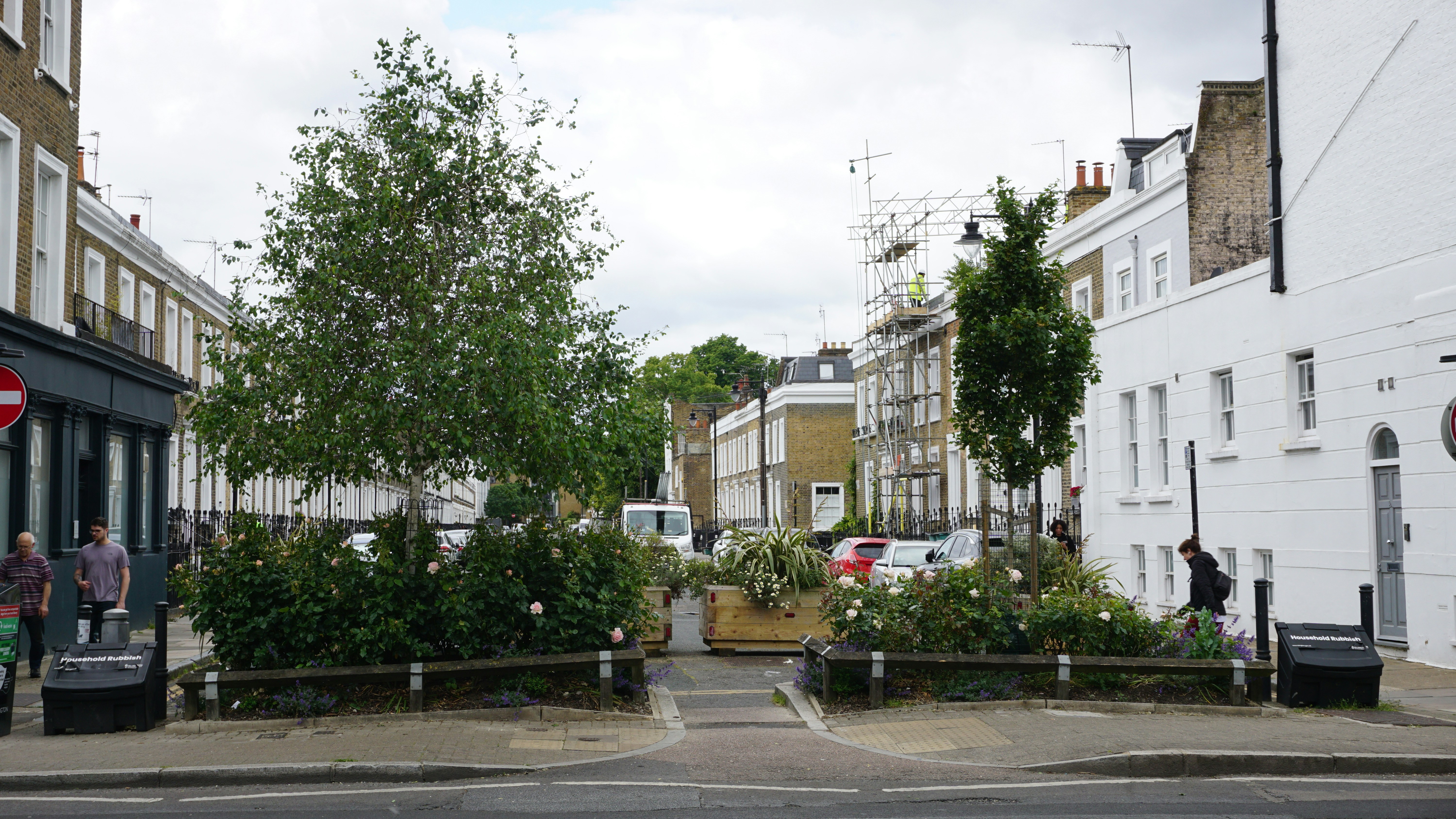 Urban Quiet: A Tree-Lined Street Framed by Symmetrical Townhouses