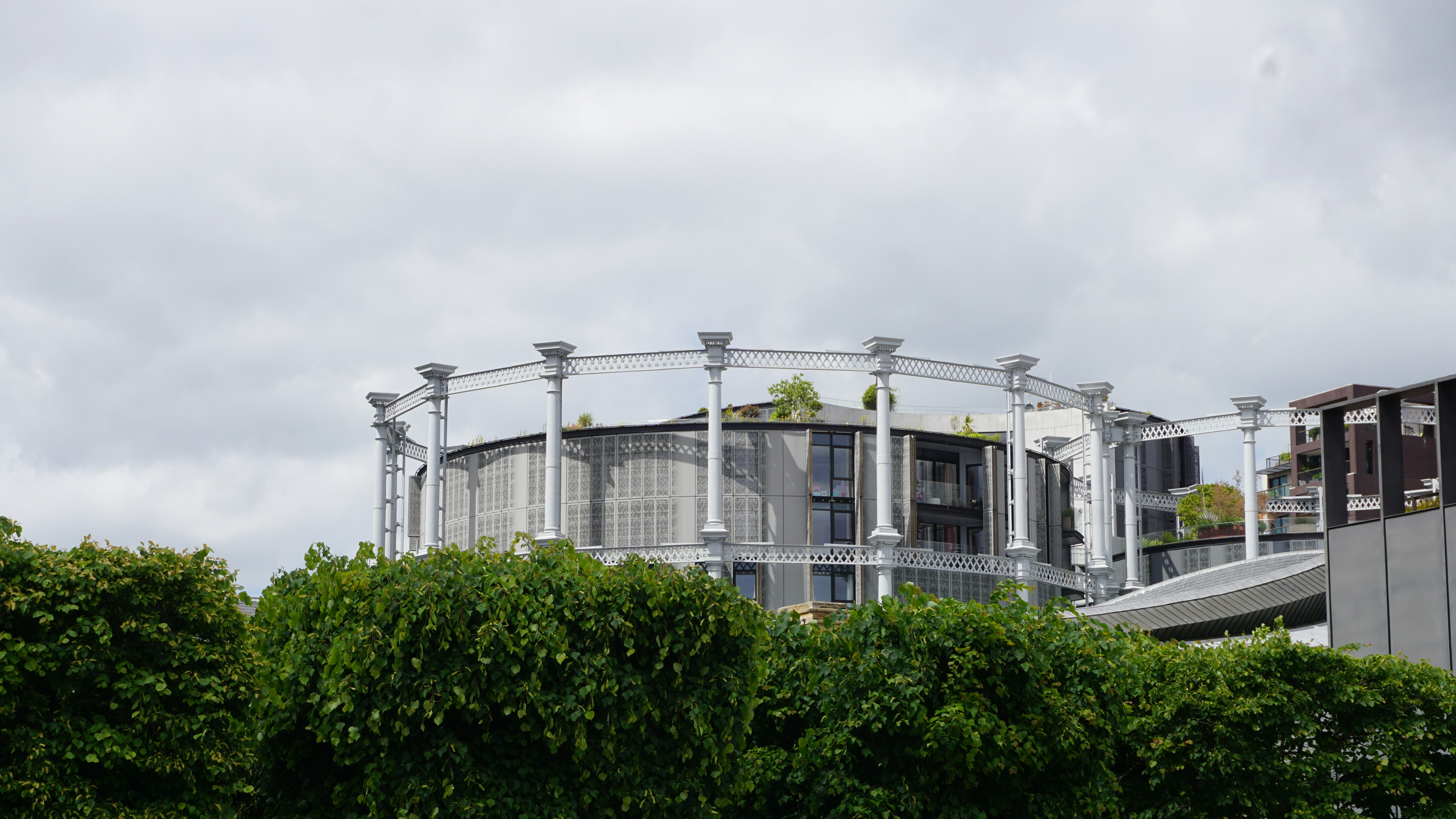 Urban Ring: Modern Circular Atrium Framing a Verdant Hedge