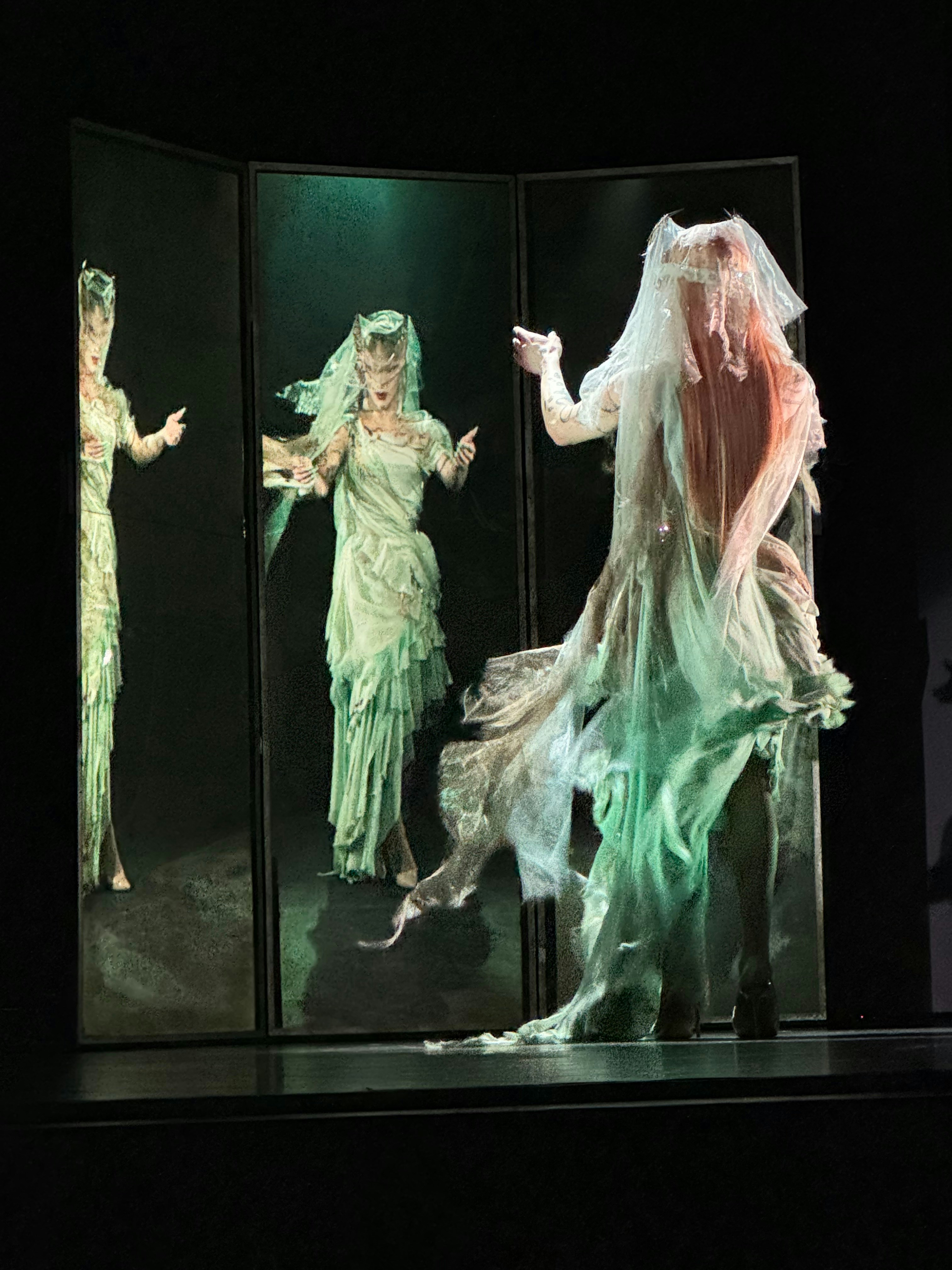 Veiled Identity: Reflections in a Velvet Dream