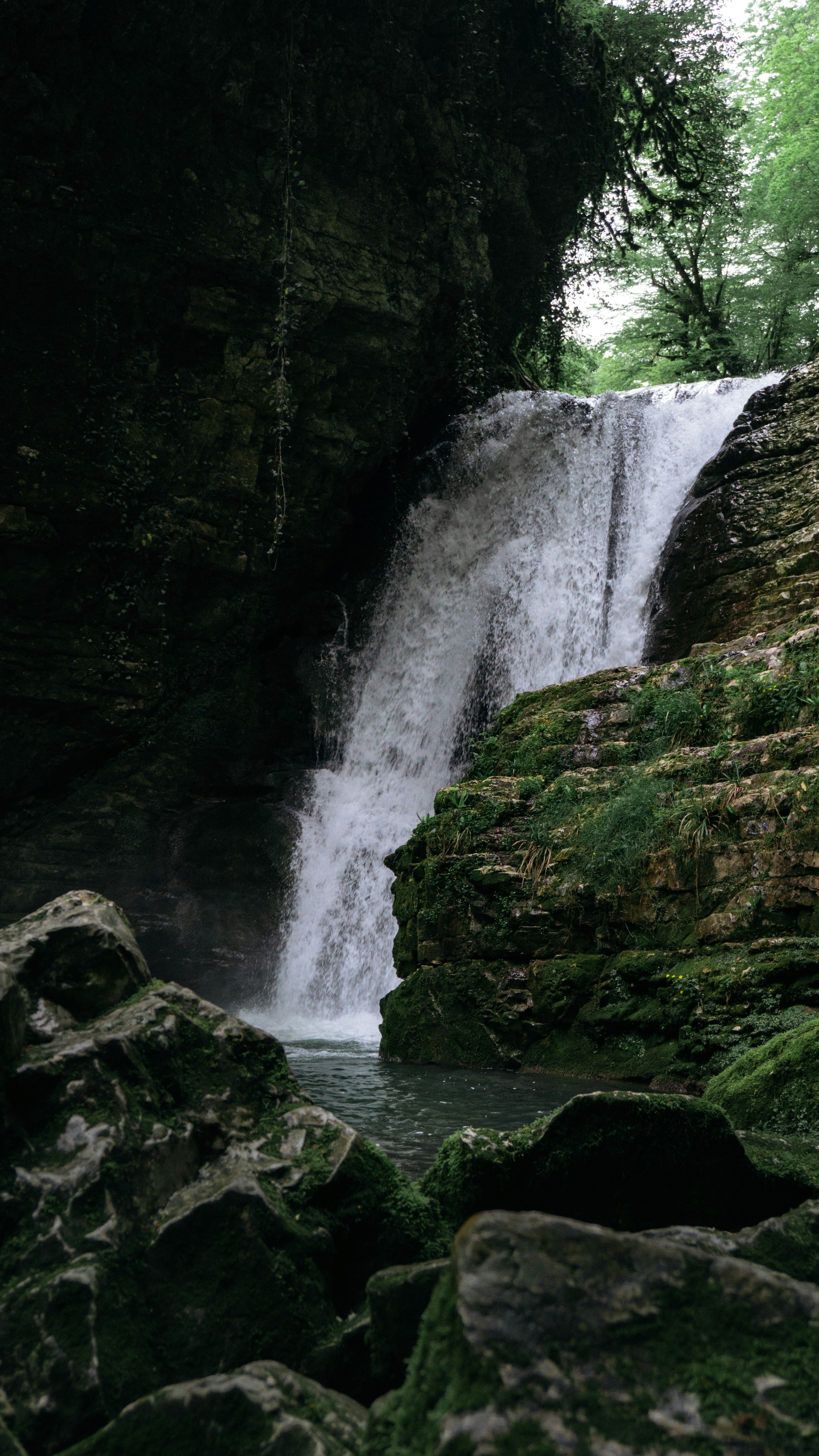 Secret Falls: Mossy Staircase to the Hidden Pool