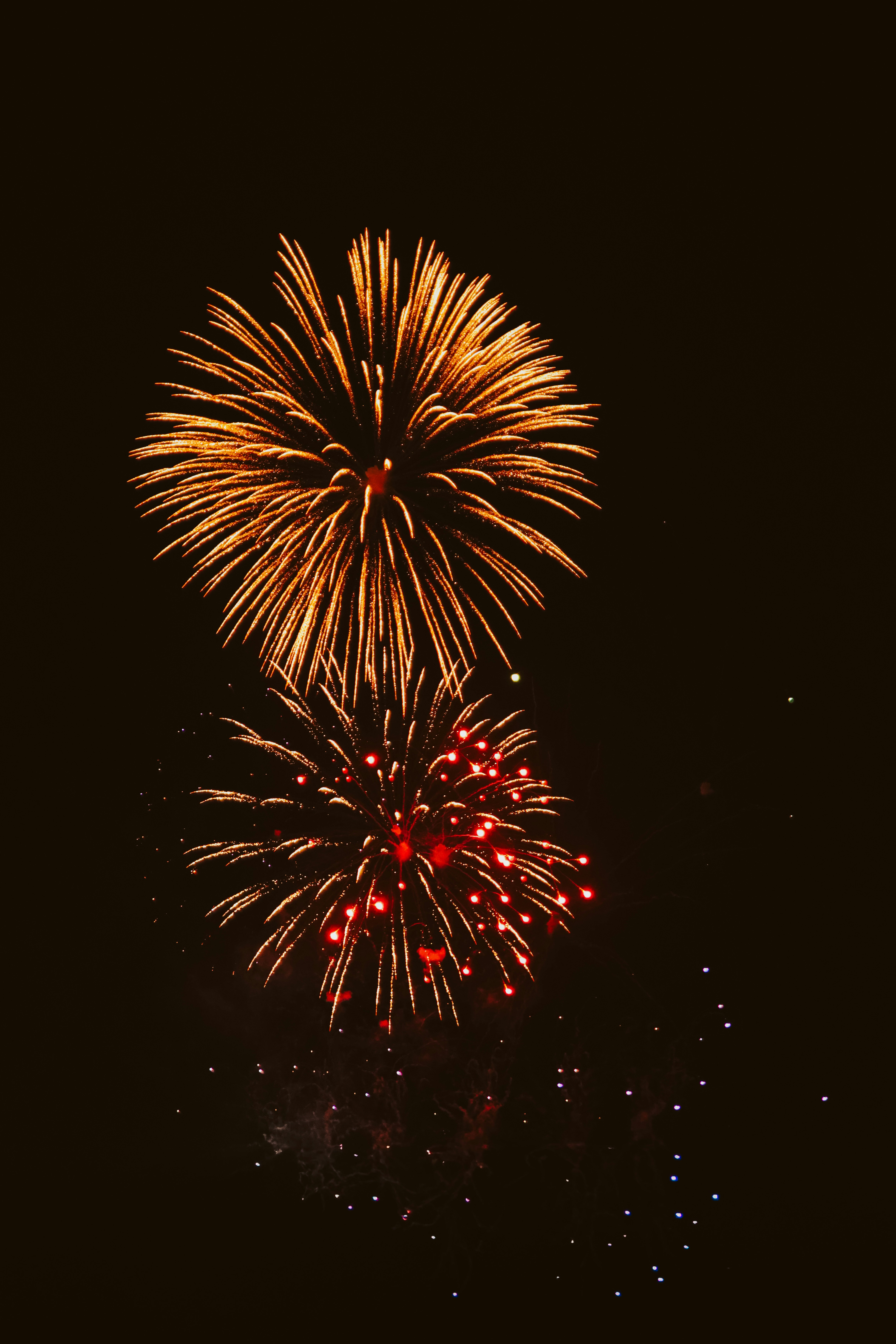 Golden Bursts Above the Night: Fireworks Captured in Silence