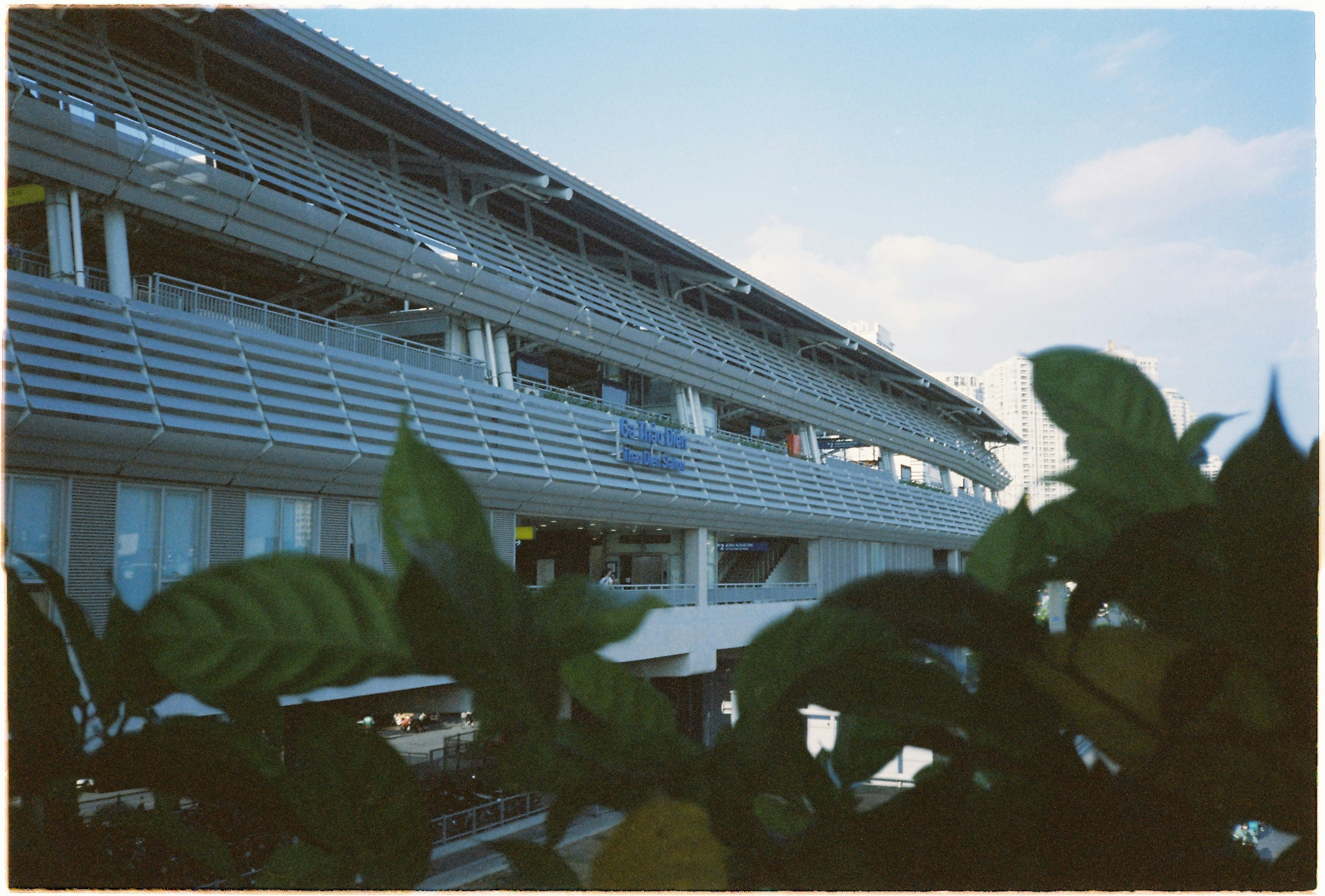 Tiered stadium facade peeking through leafy foreground