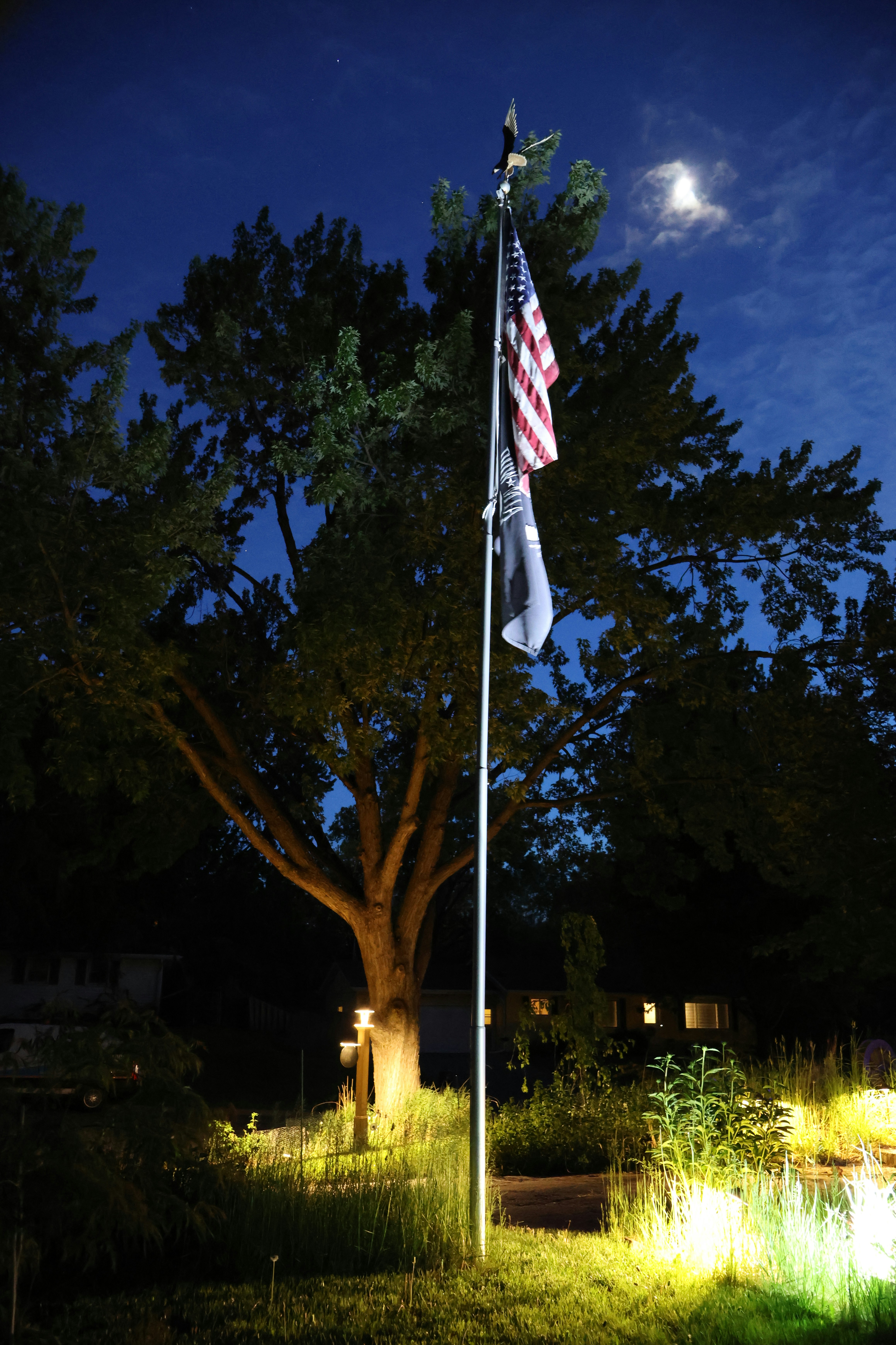 Flagpole under a Moonlit Canopy