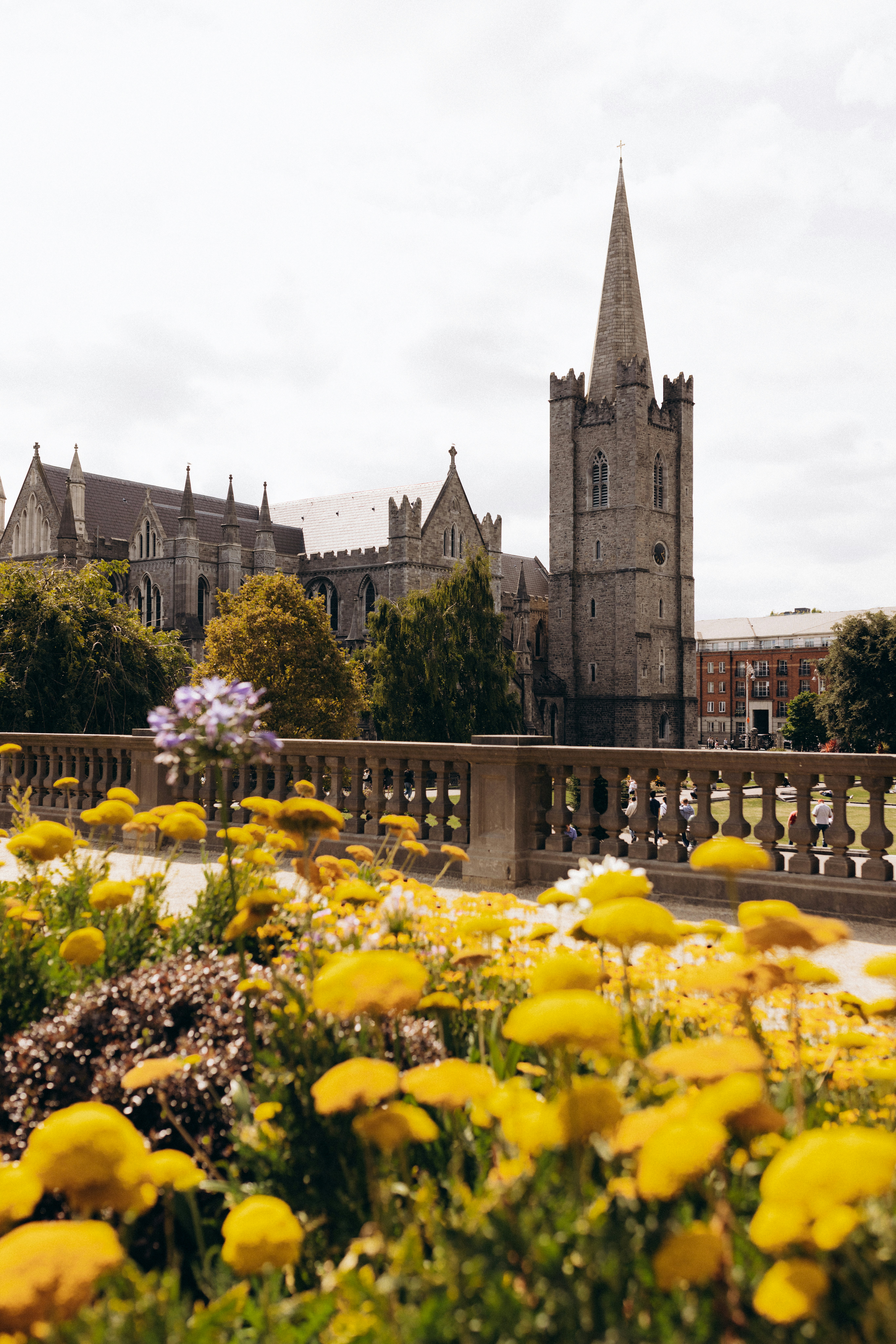 Golden Meadow Overlooking the Gothic Campus