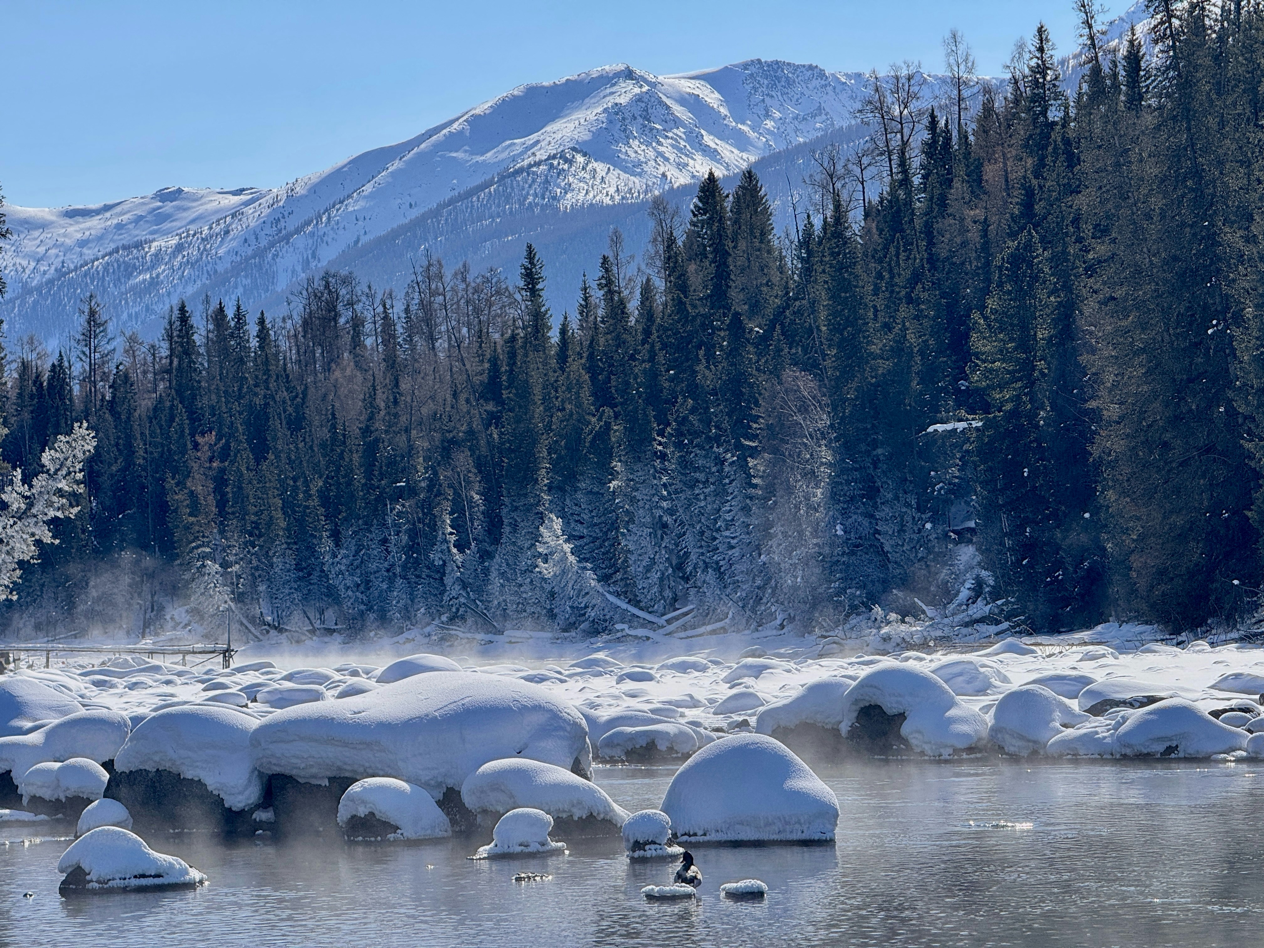 Snowbound riverscape beneath a pine-clad ridge