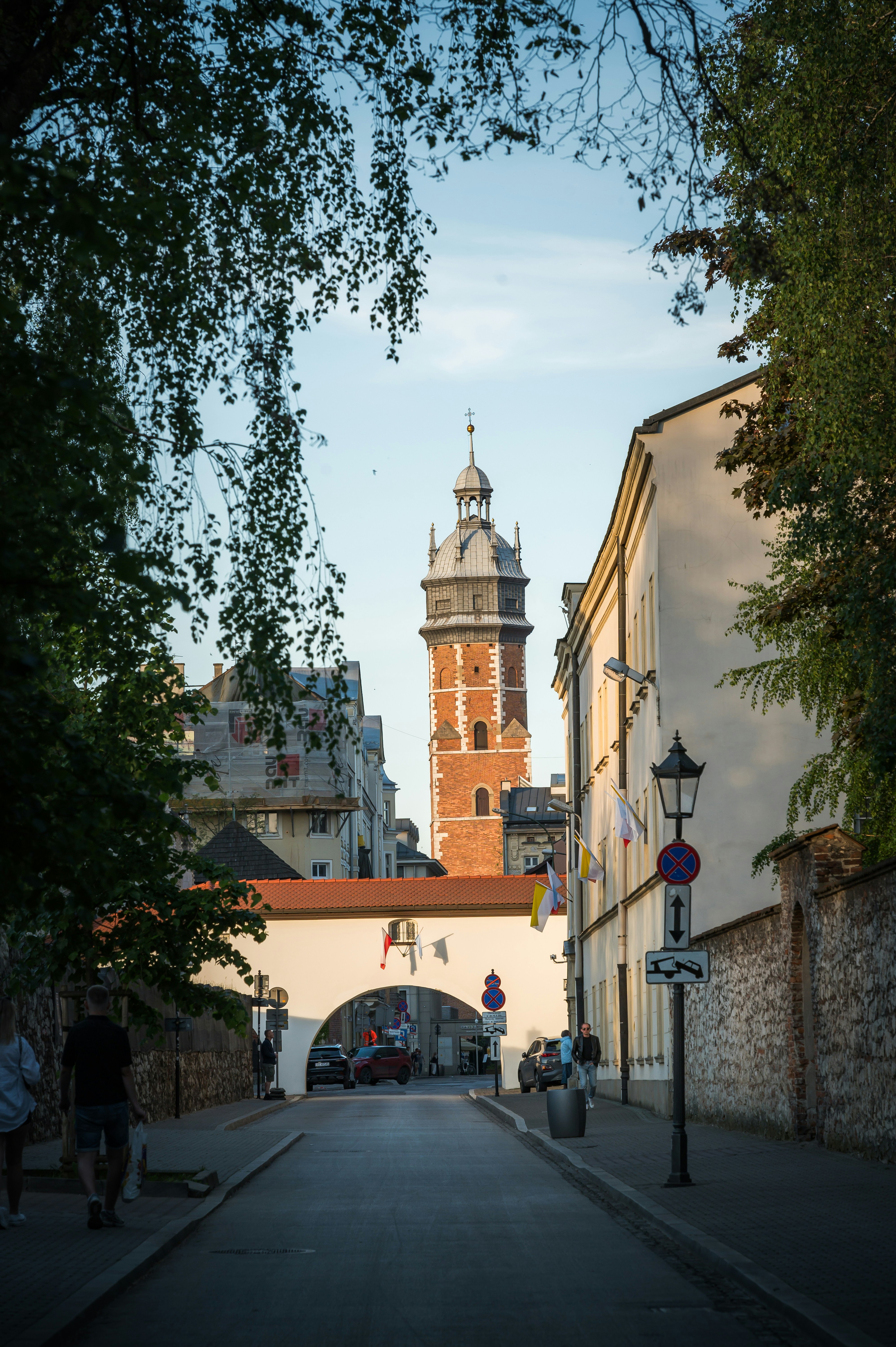 Clocktower Through the Arch: A Sunlit Street in Bloom