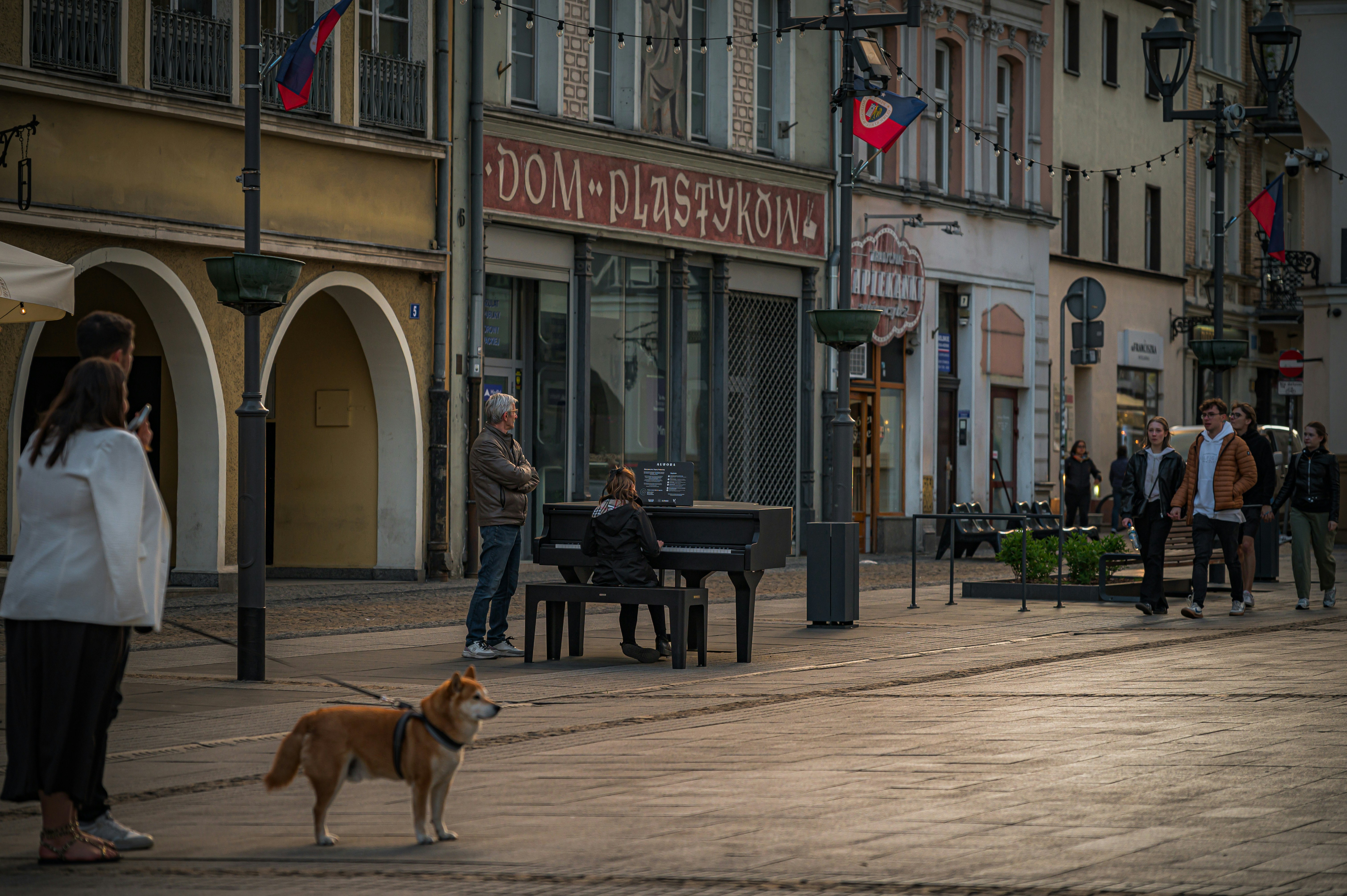 Street Piano and Dog in a Quiet European Square