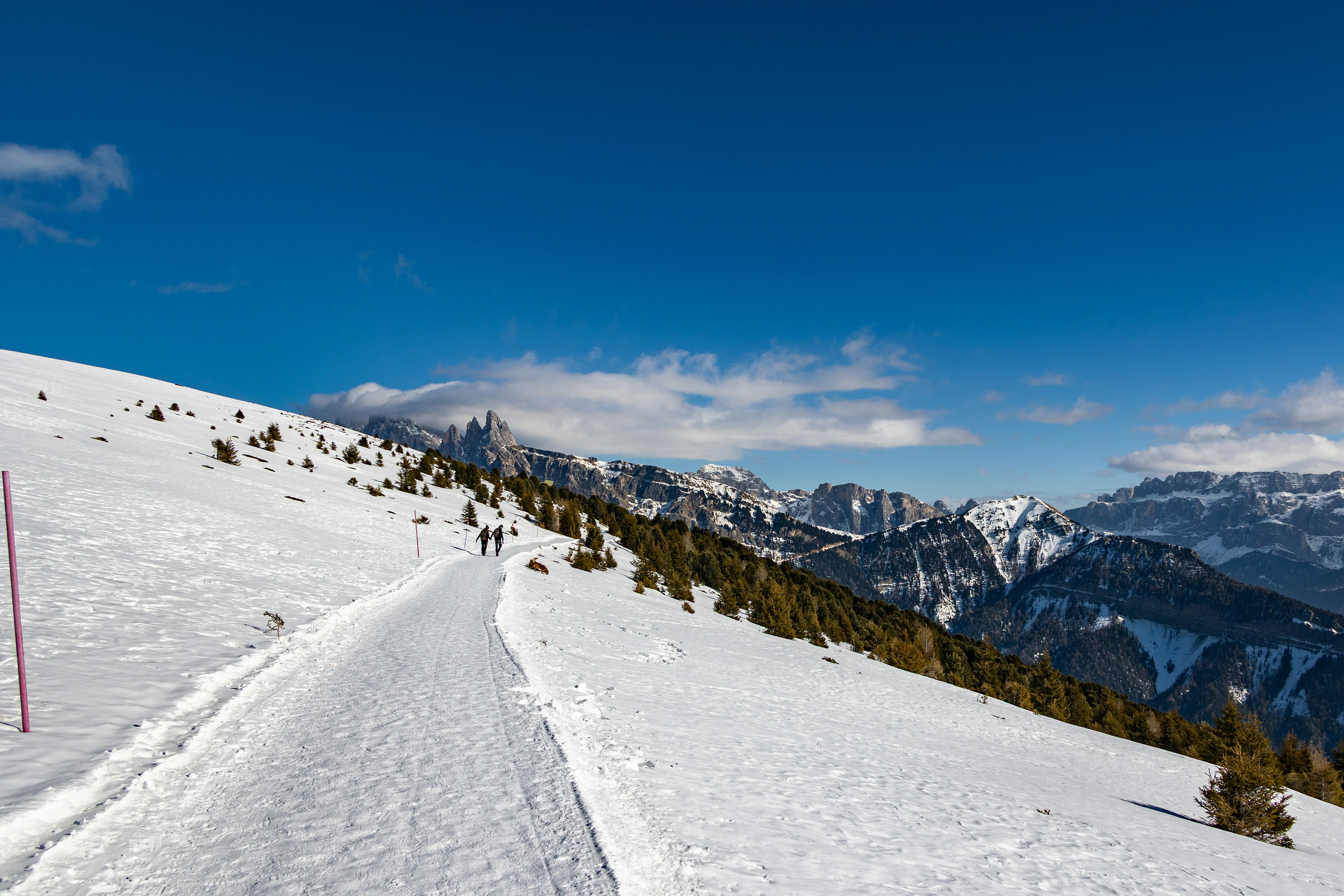 Snowbound Ridge: A Quiet Path Through Alpine White