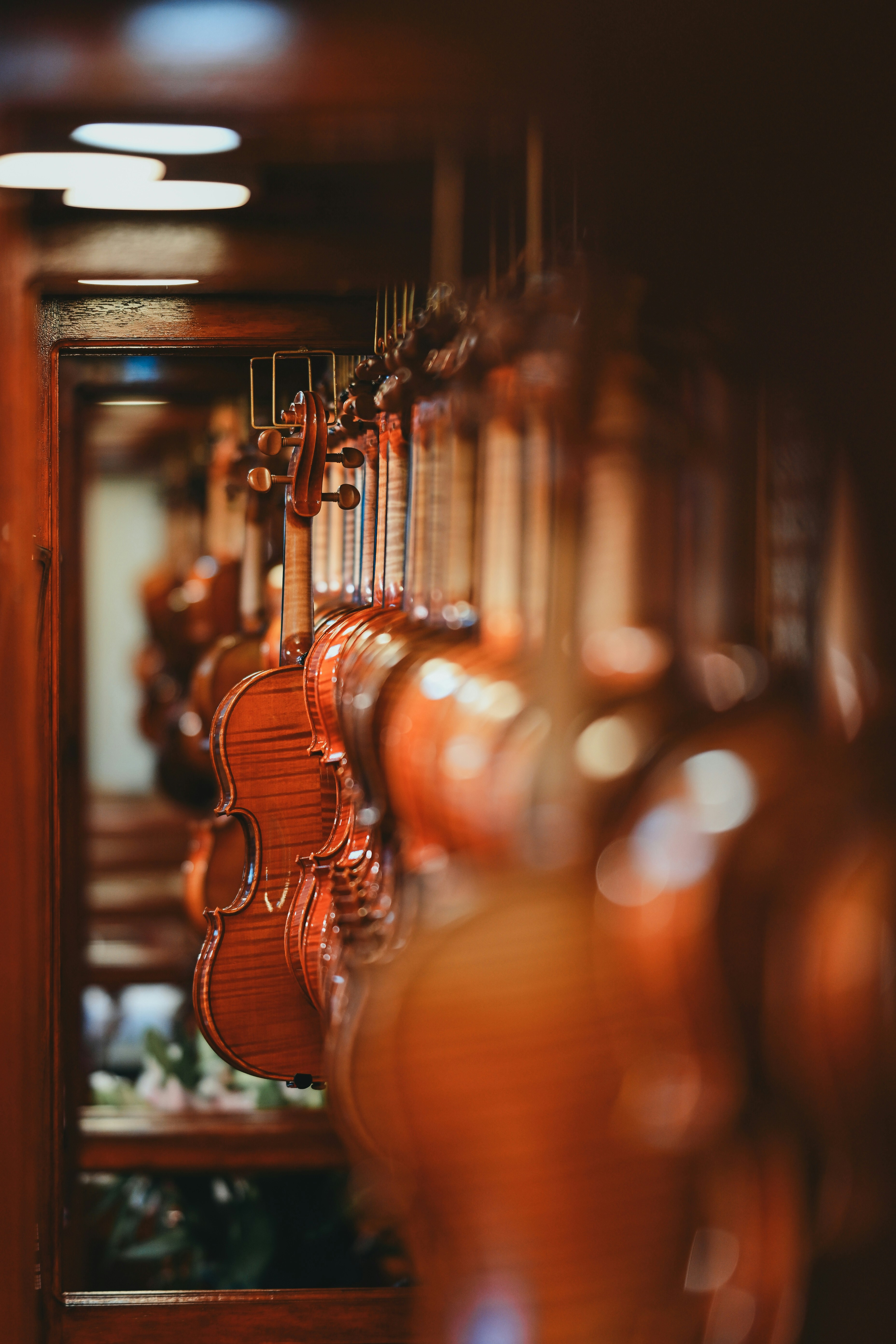 Row of Violins: Warm Glow in a Dim Museum Walkway