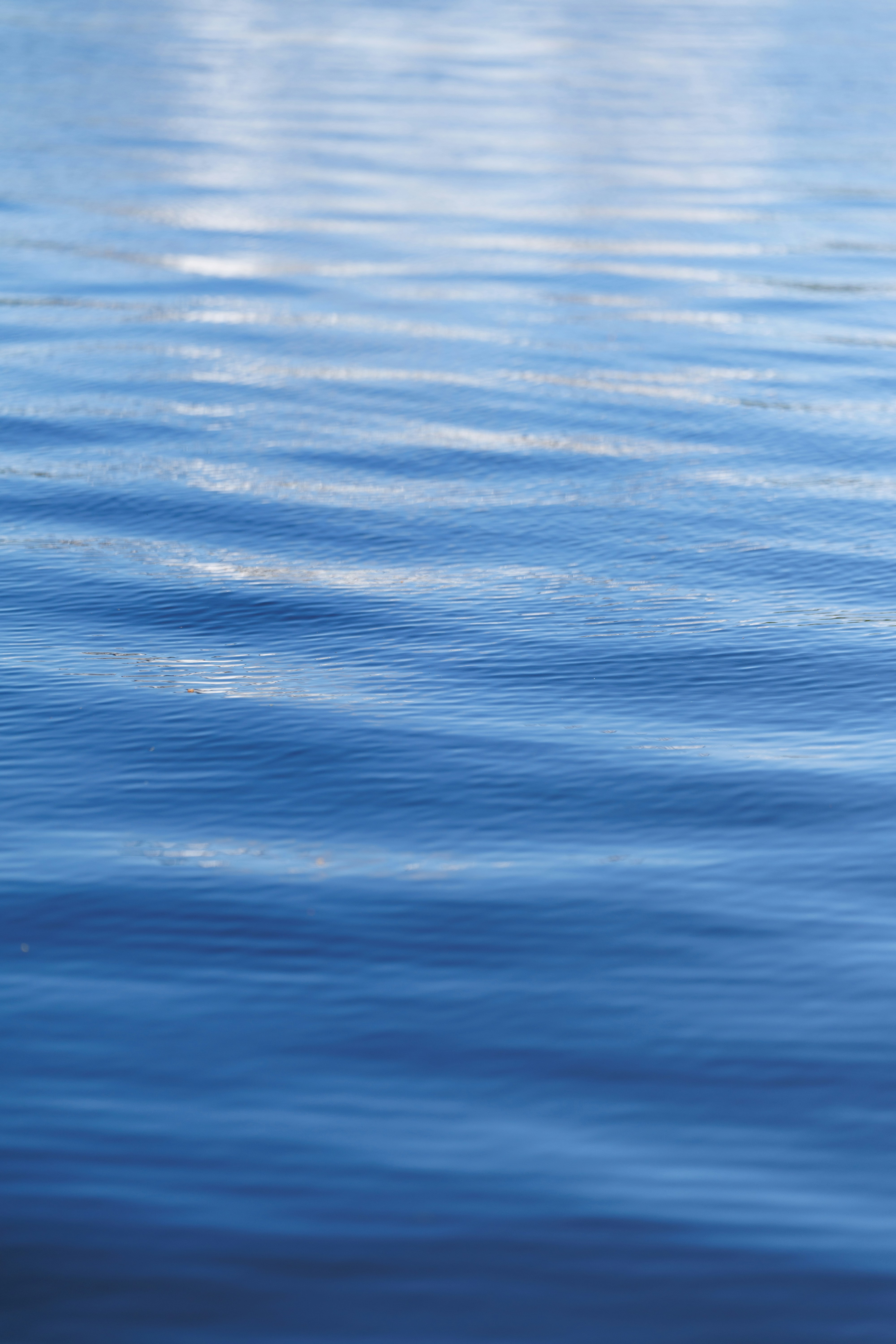 Soft Ripples, Blue Calm: A Minimal Water Surface Portrait