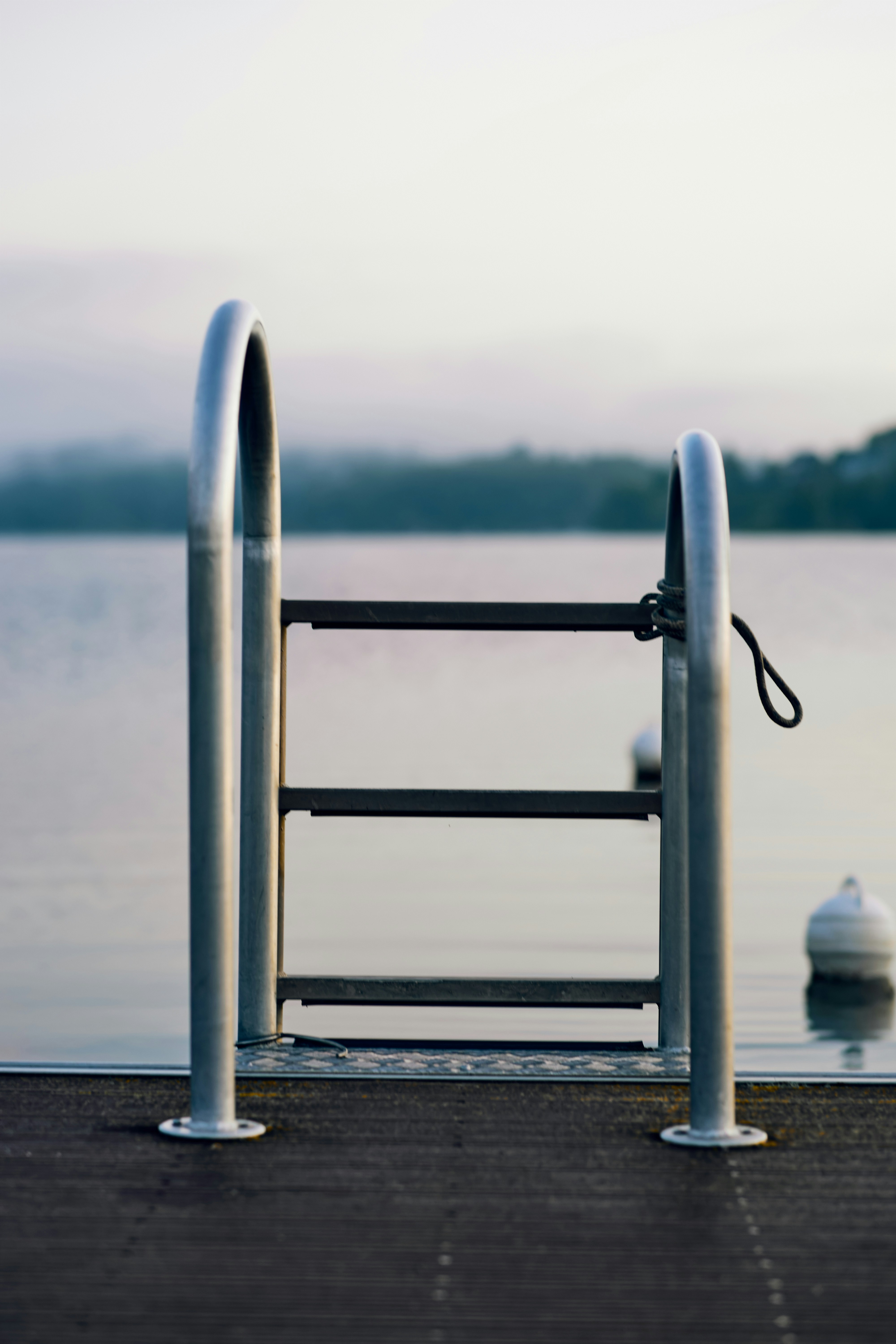 The Quiet Pier Ladder framing at Dusk