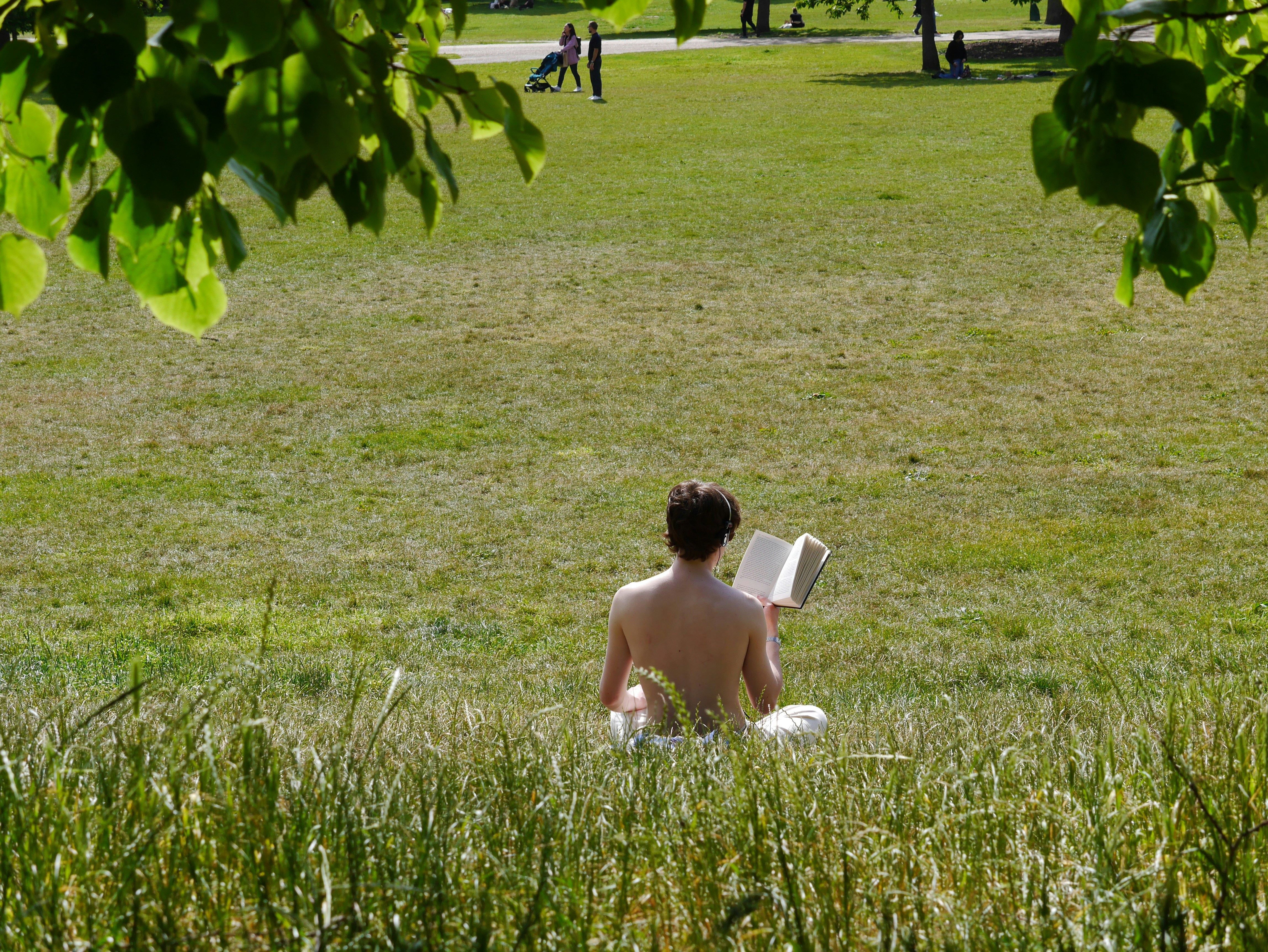 Solitary Reader in the Park: Quiet Focus Between Shadow and Light