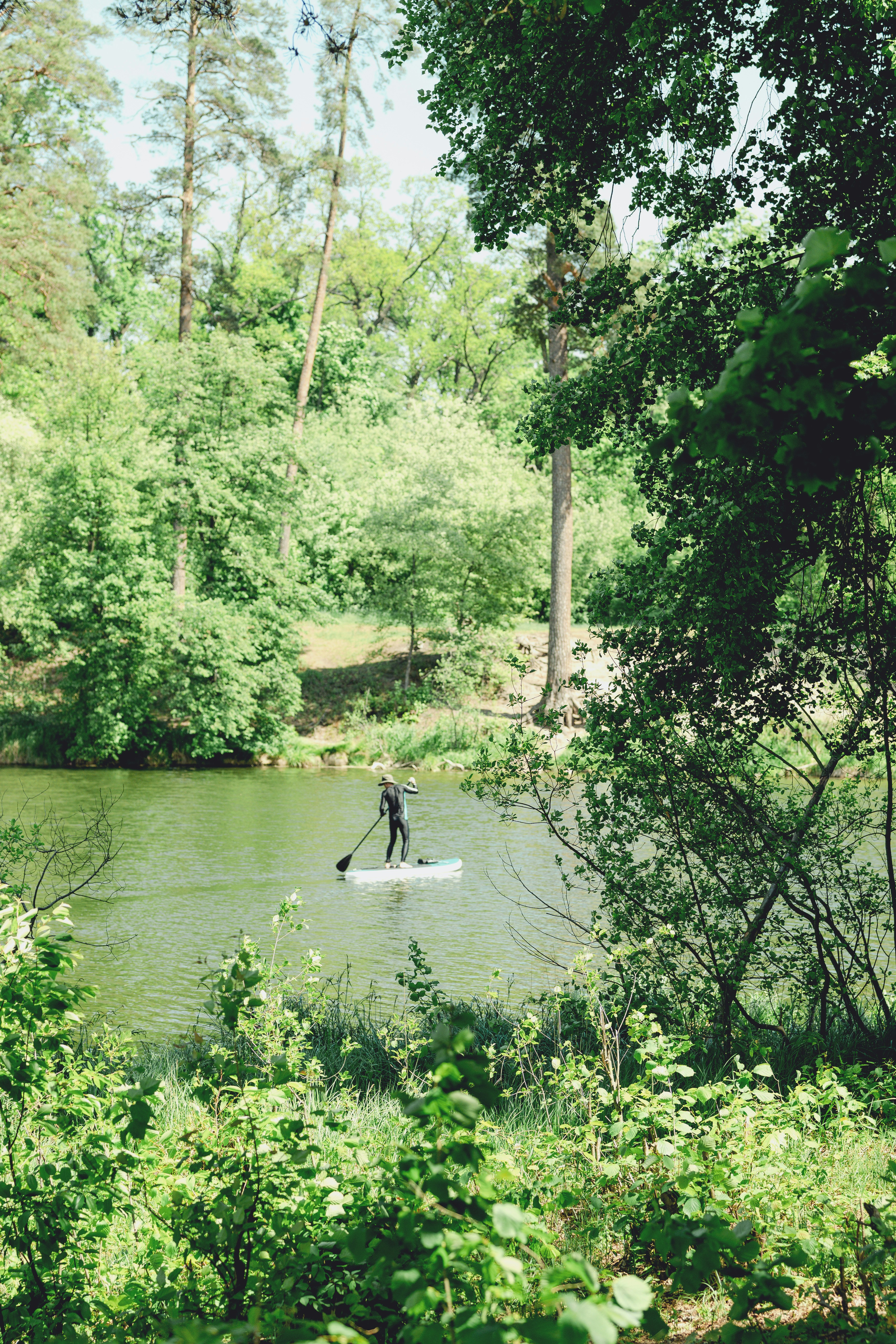 Paddle on the Serene River: A Moment in Sunlit Green