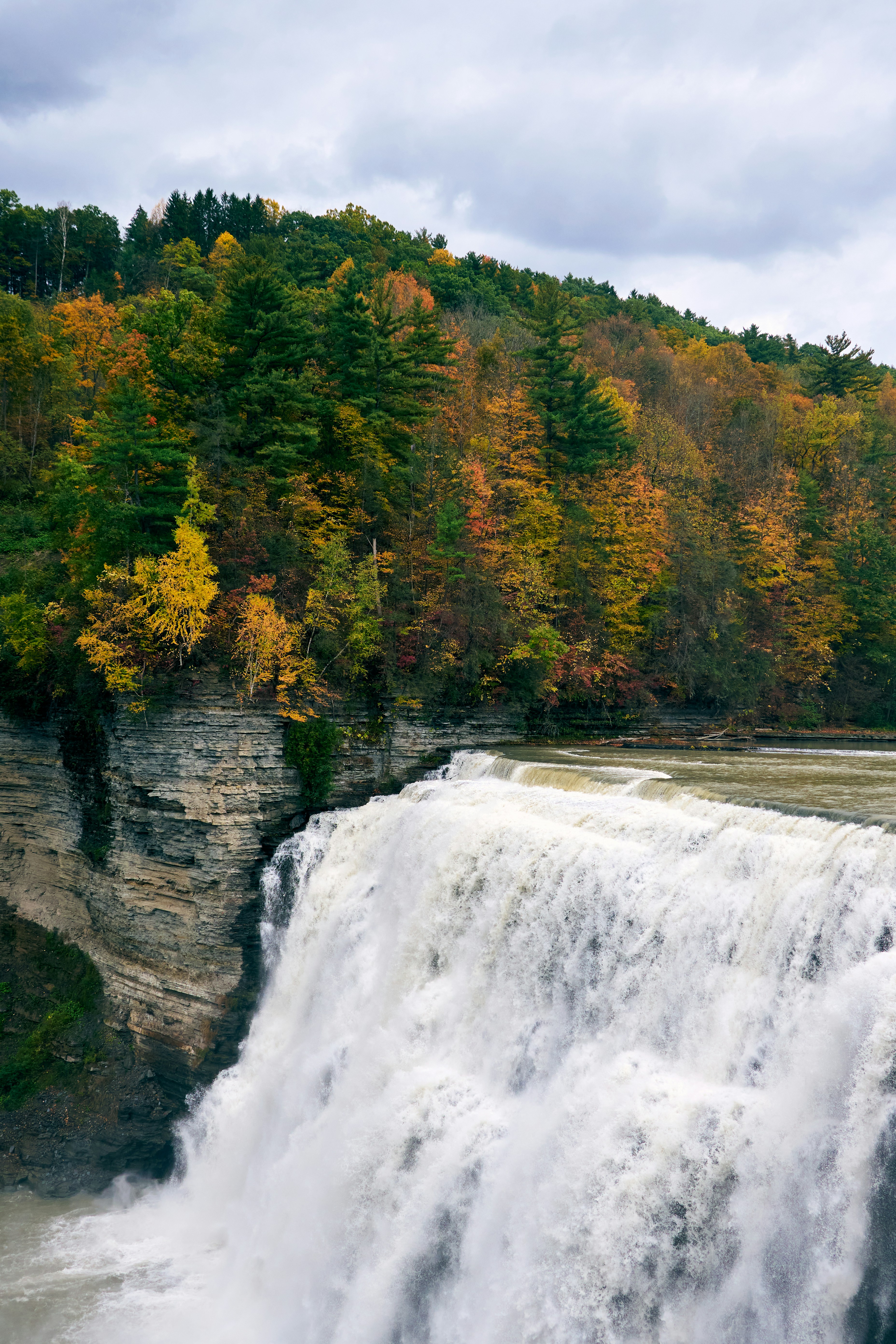 Autumn Falls over a Cedar-Lined Canyon