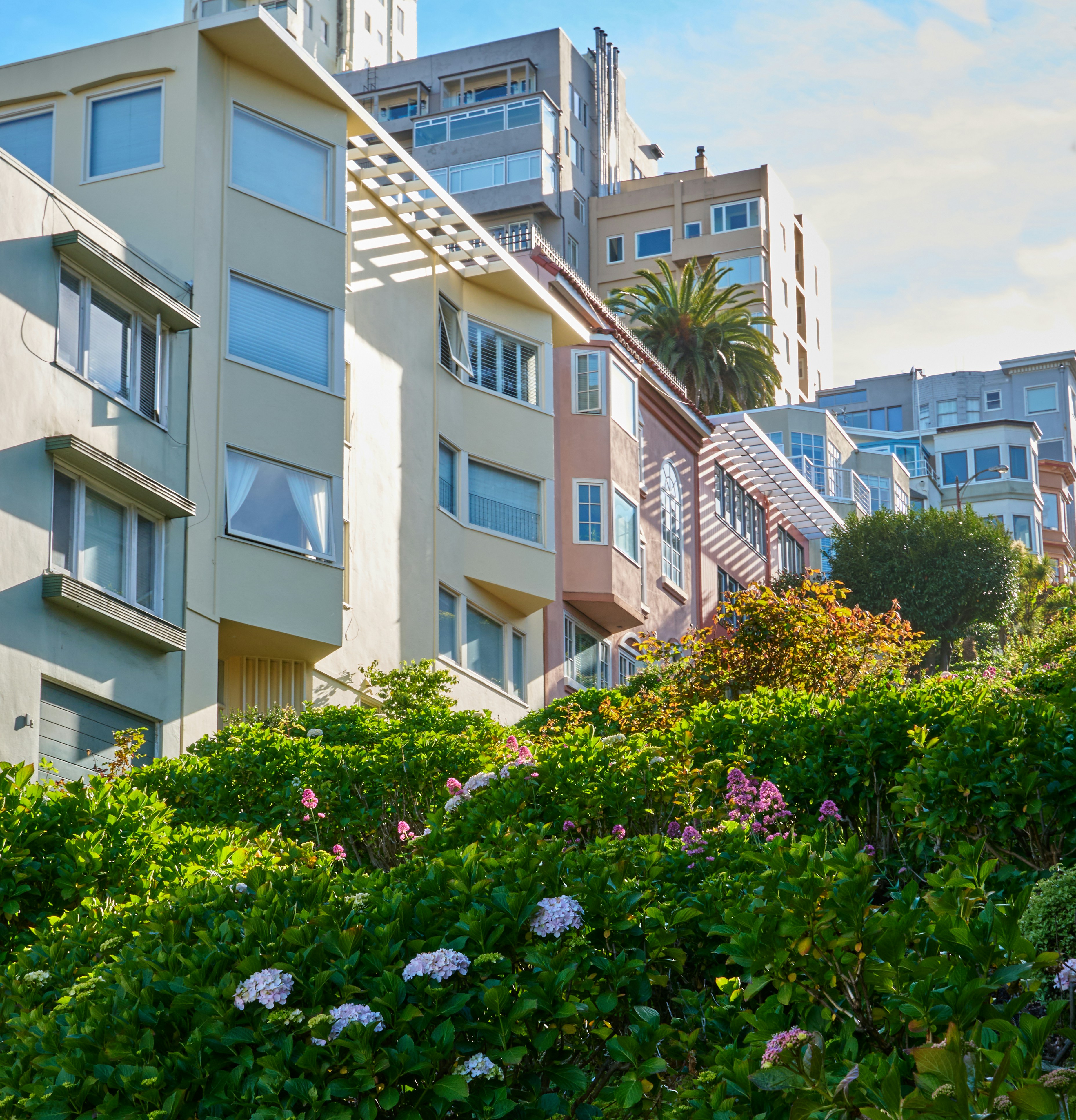 Sunlit hillside apartments framed by lush hydrangeas and palm