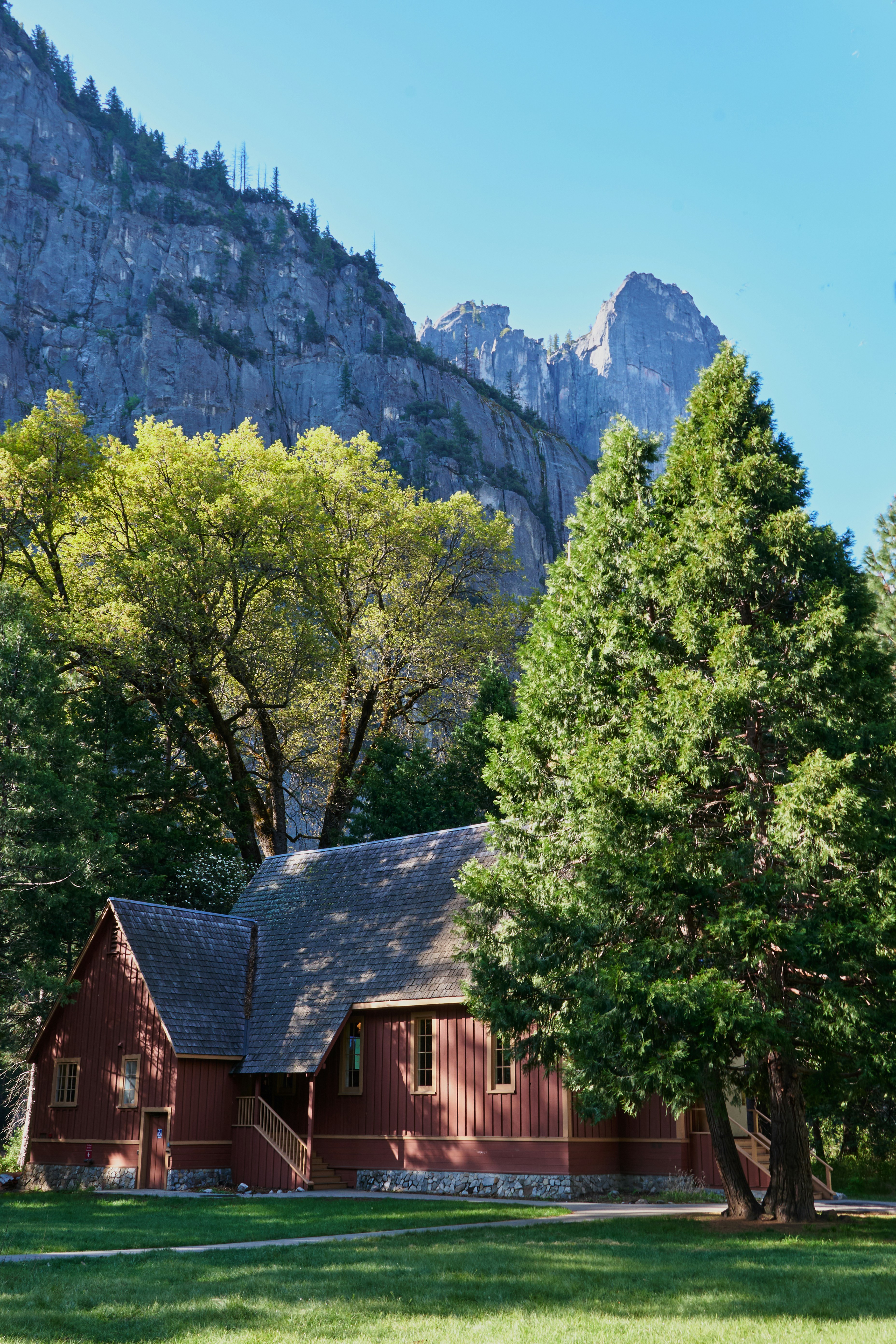 Red Cabin Beneath Towering Pines