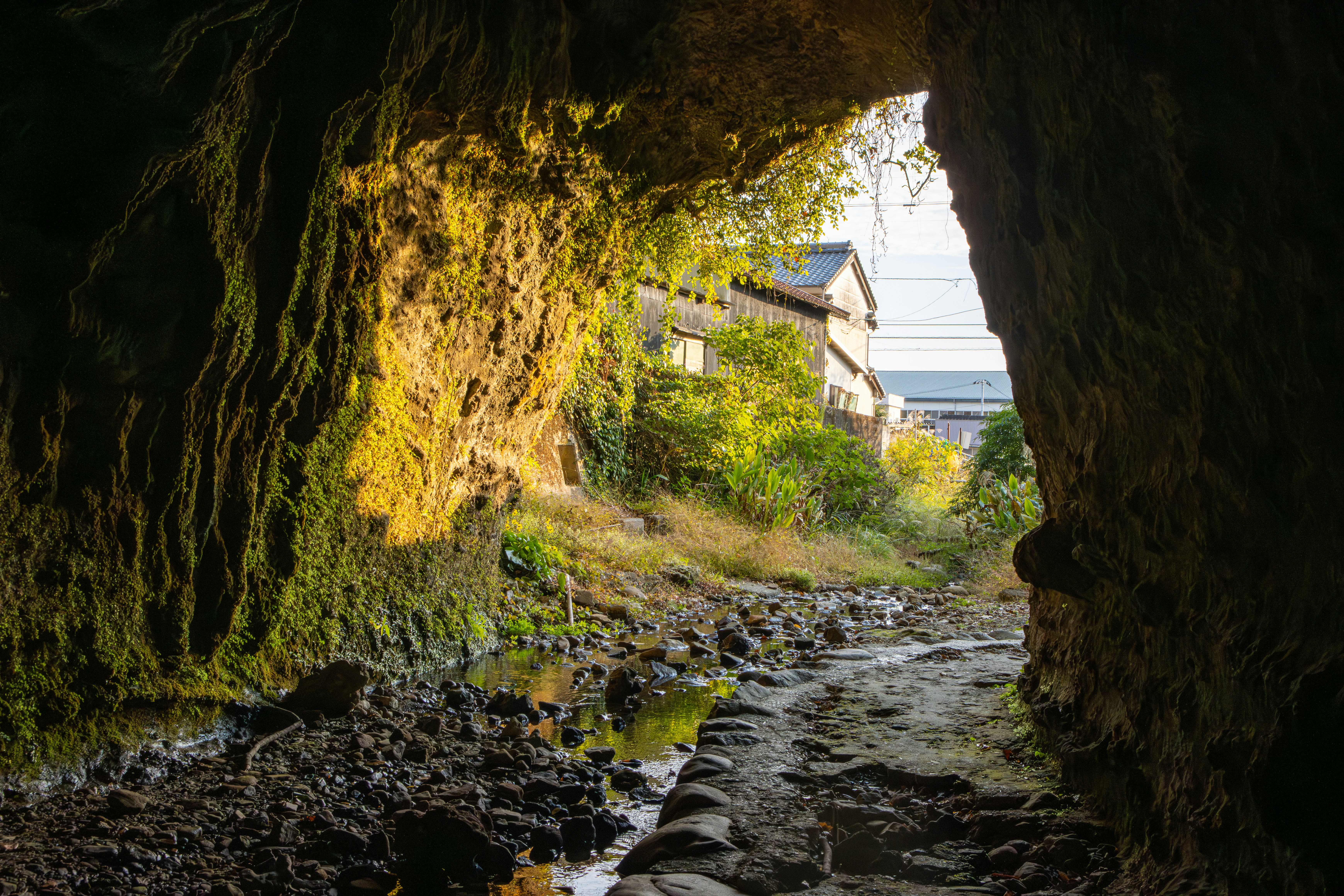 Emerging Light Beyond the Mossy Cave Gate